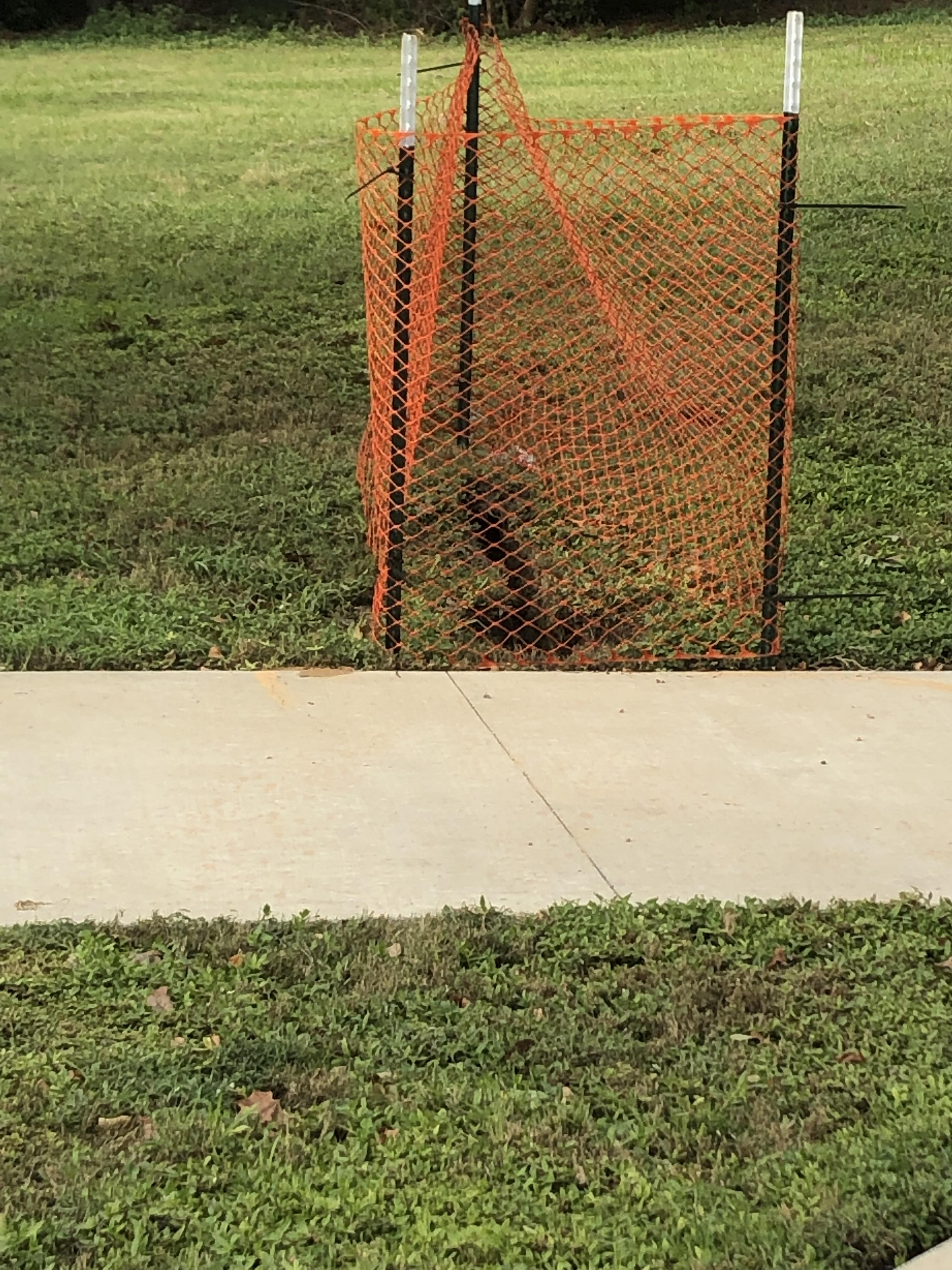 Penis Shaped Hole? | Scrolller