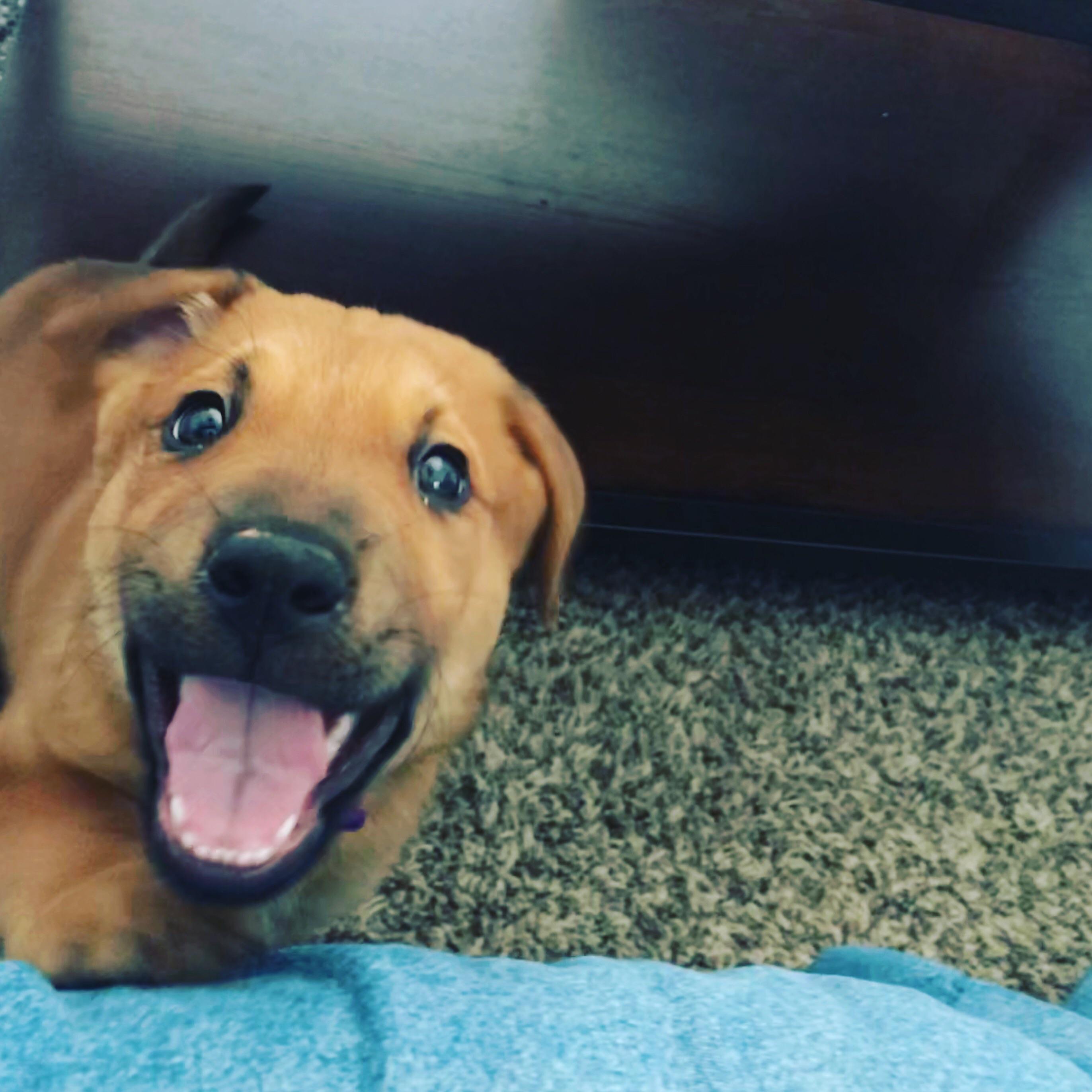 Penny is very smiley | Scrolller