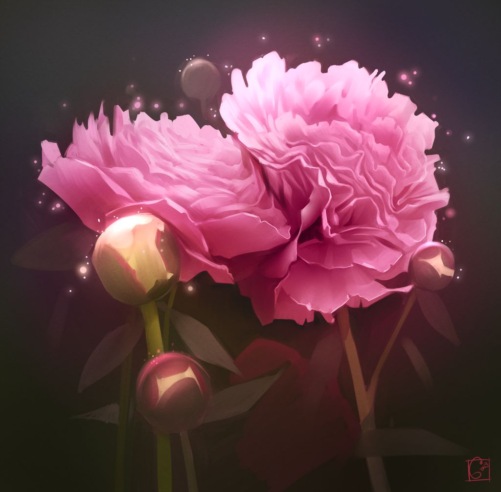Peonies by Alexandra GaudiBuendia Khitrova | Scrolller