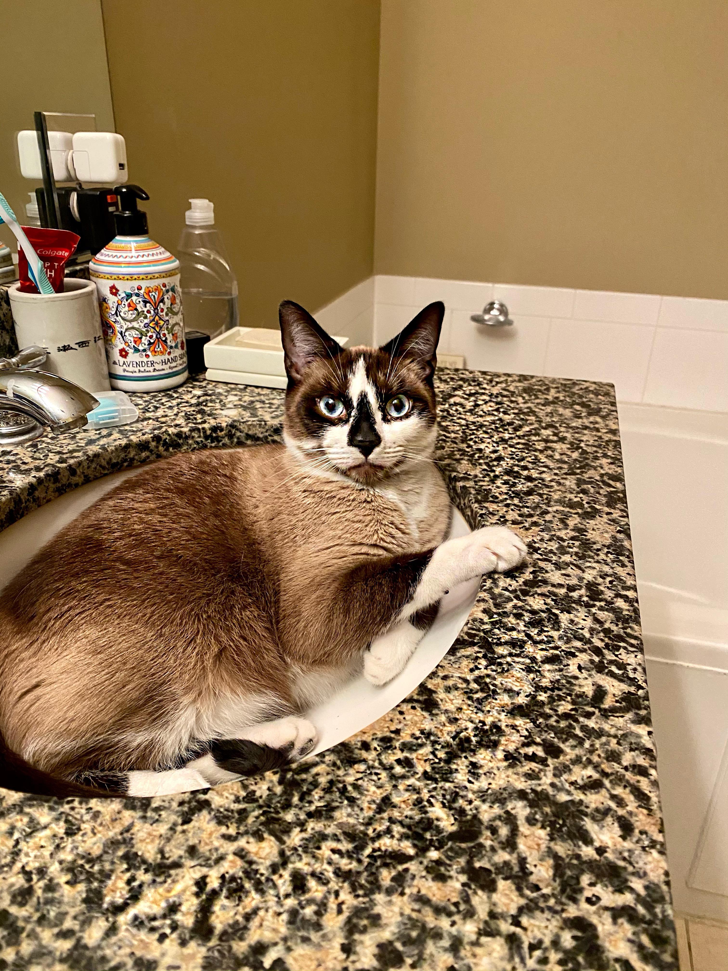 Perfect fit | Scrolller