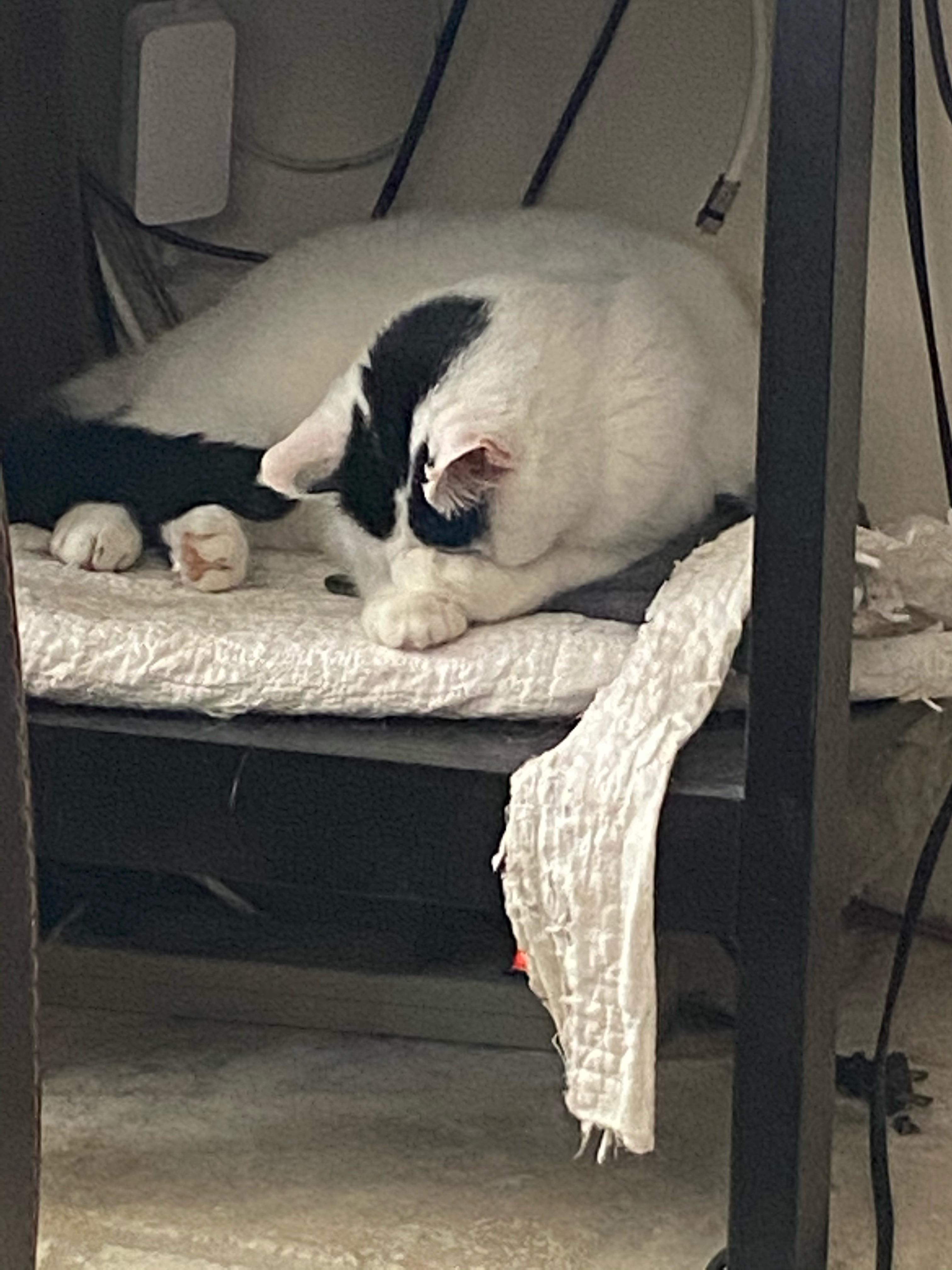 Perfect form | Scrolller