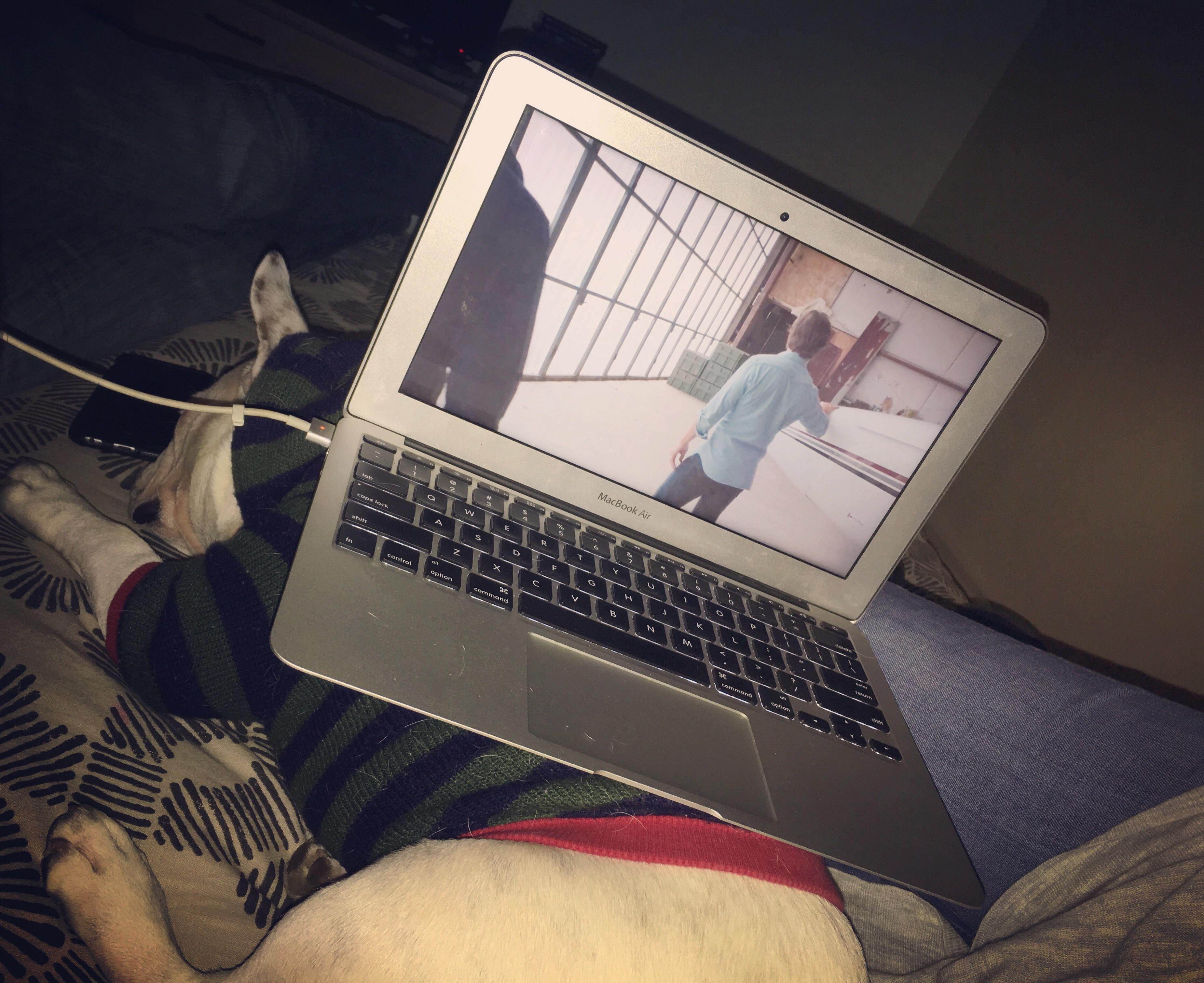 Perfect laptop stand. | Scrolller