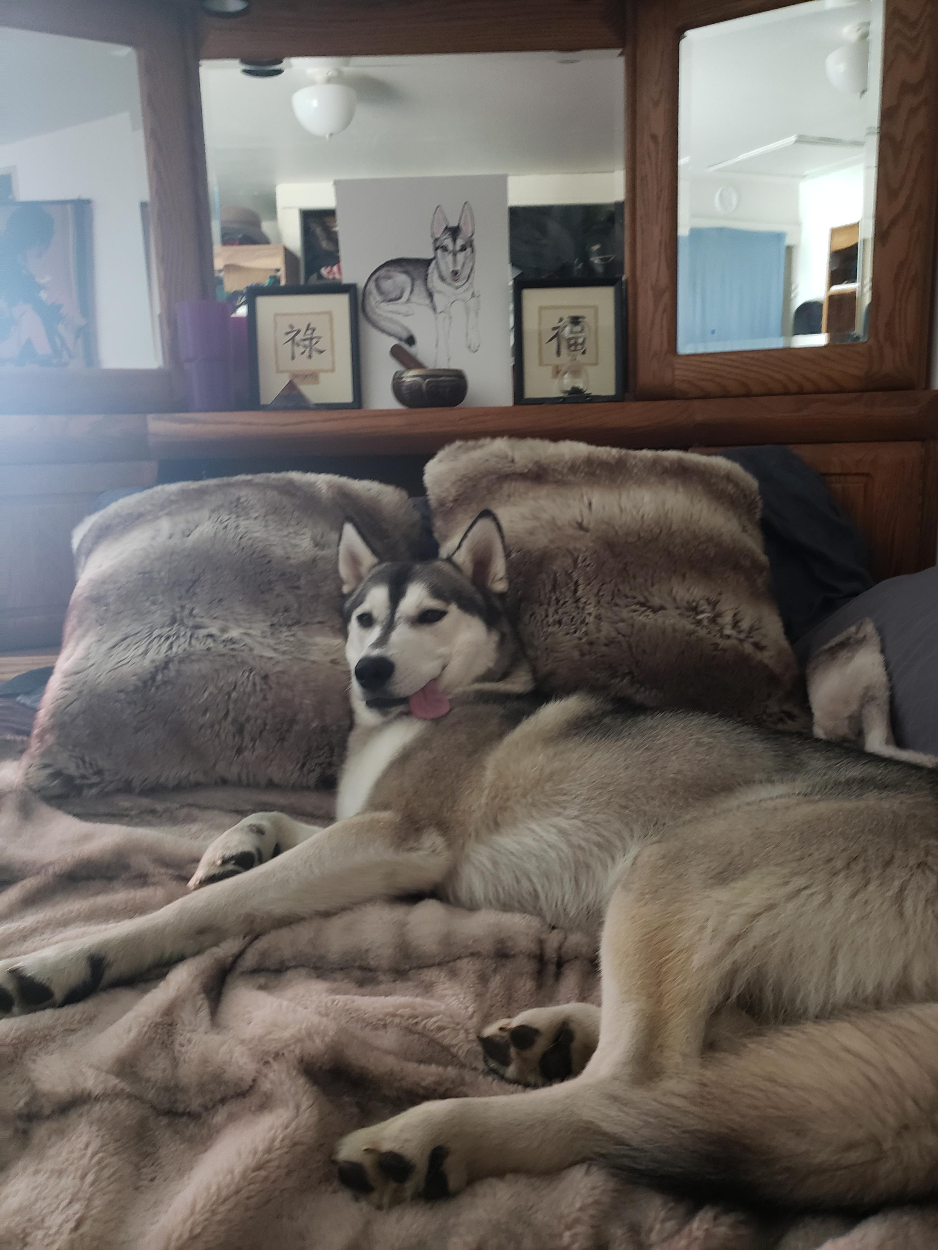 Perfect MoonMoon blop... | Scrolller