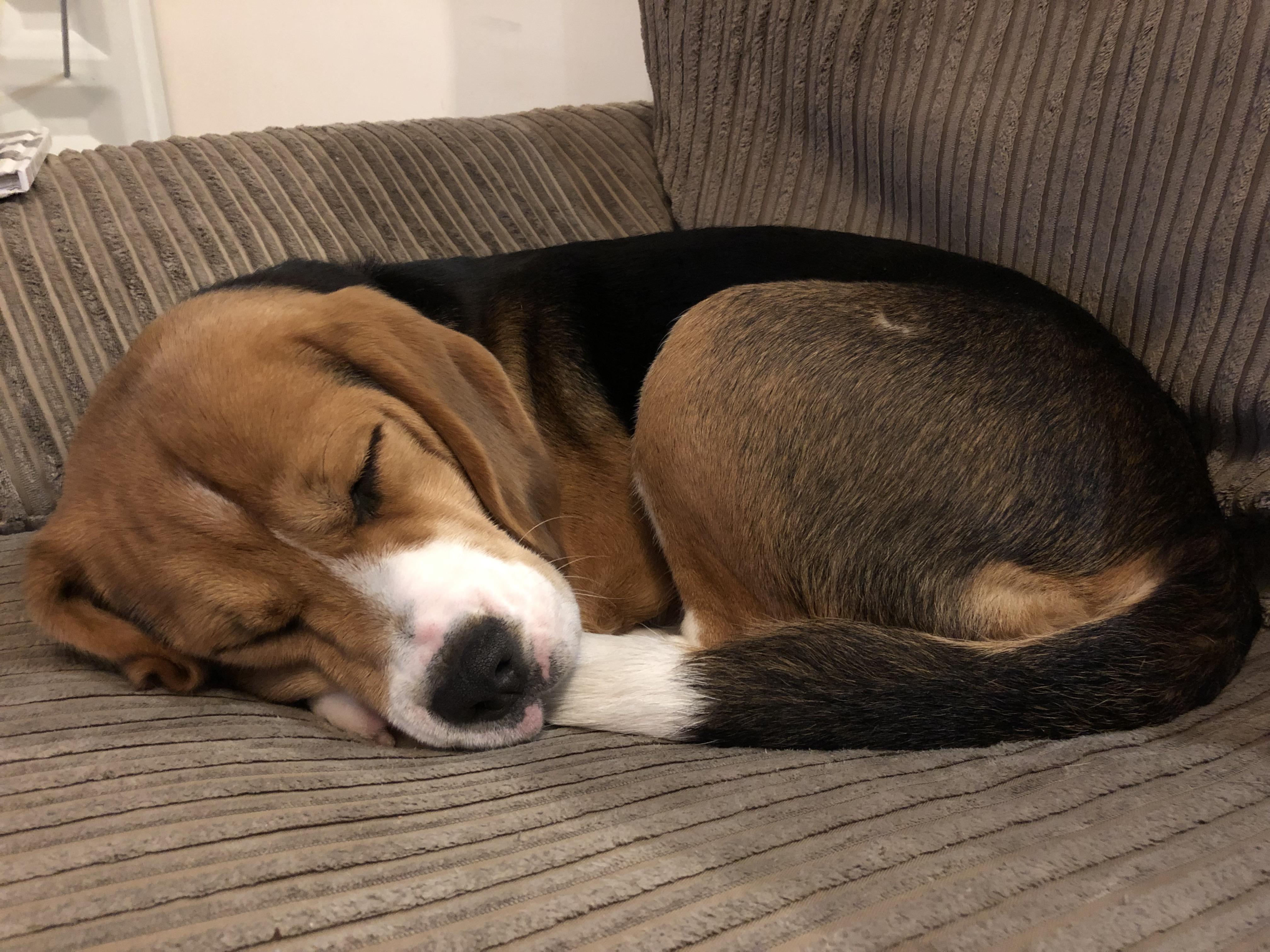 Perfect Peach | Scrolller