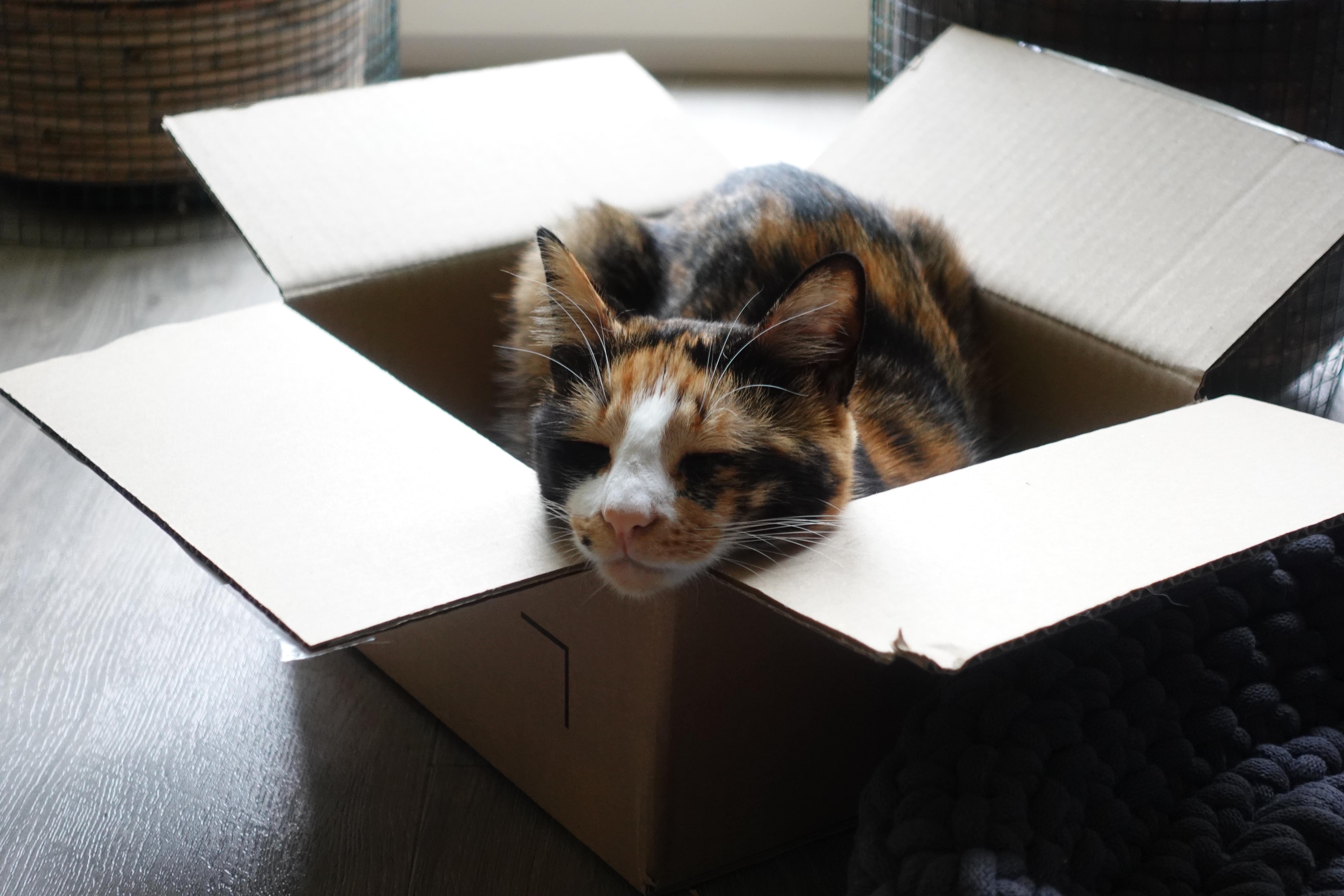 Perfect place for a quick nap | Scrolller