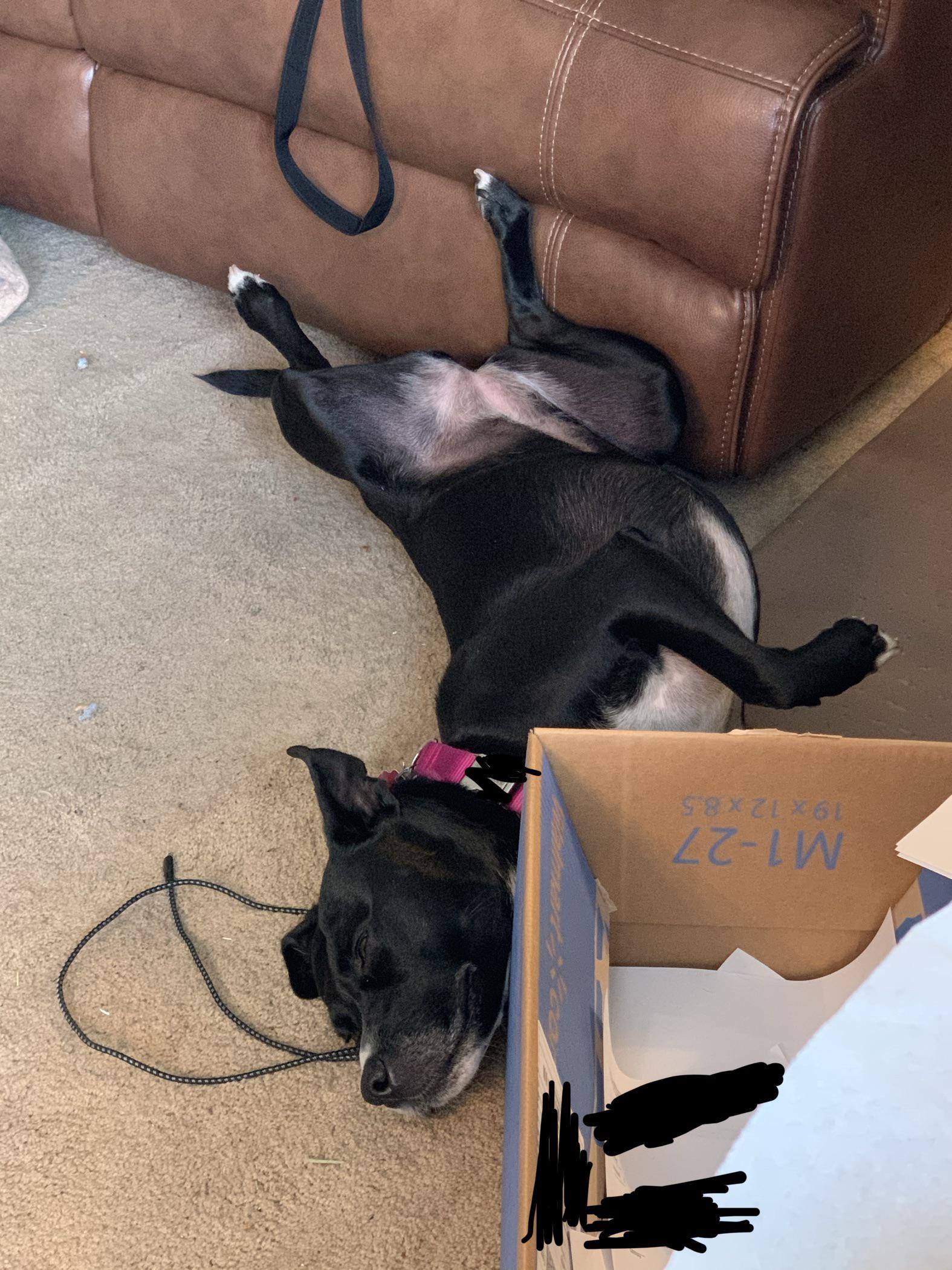 Perfect spot for a nap | Scrolller