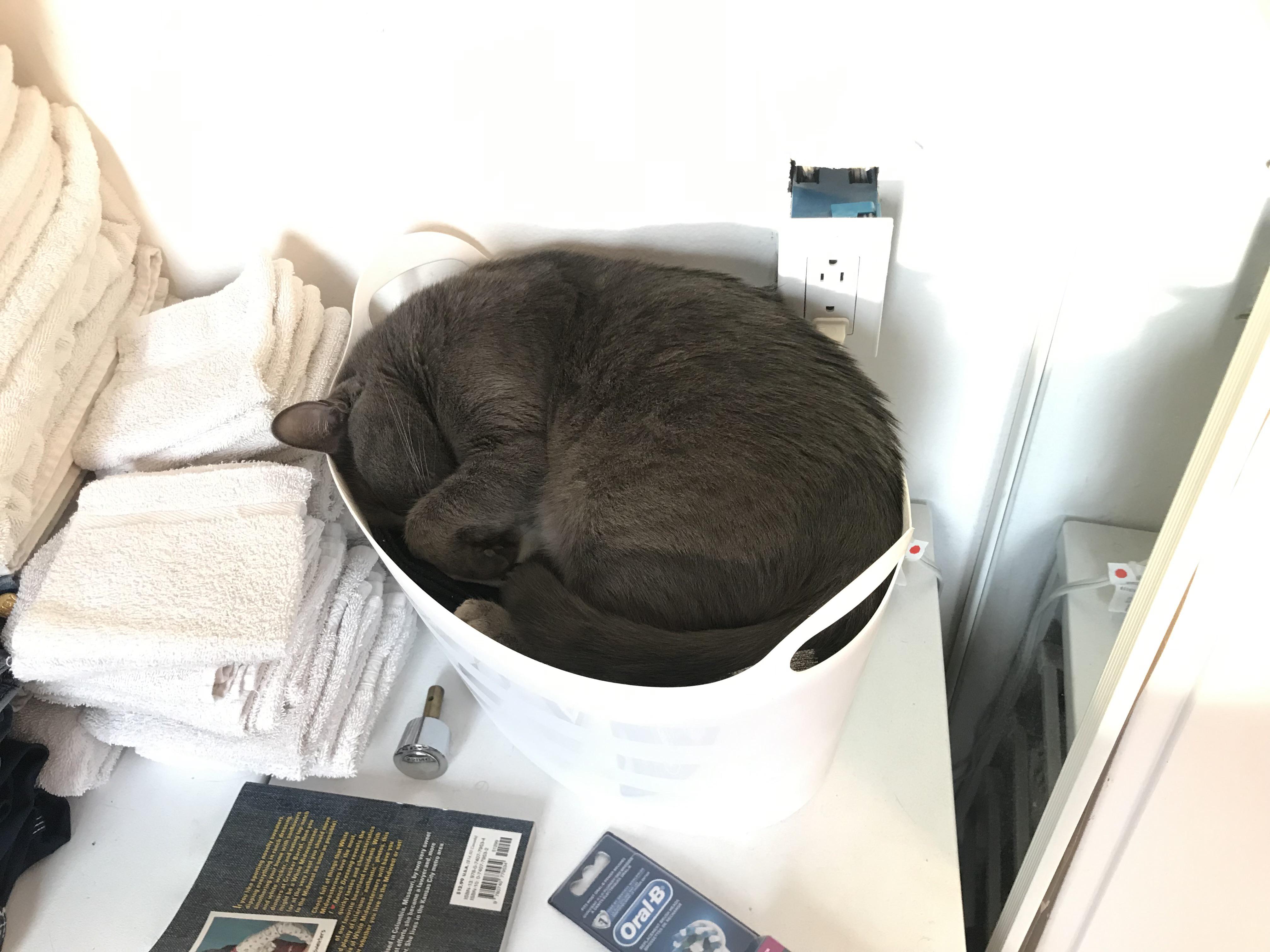 Perfectly roumb circle | Scrolller