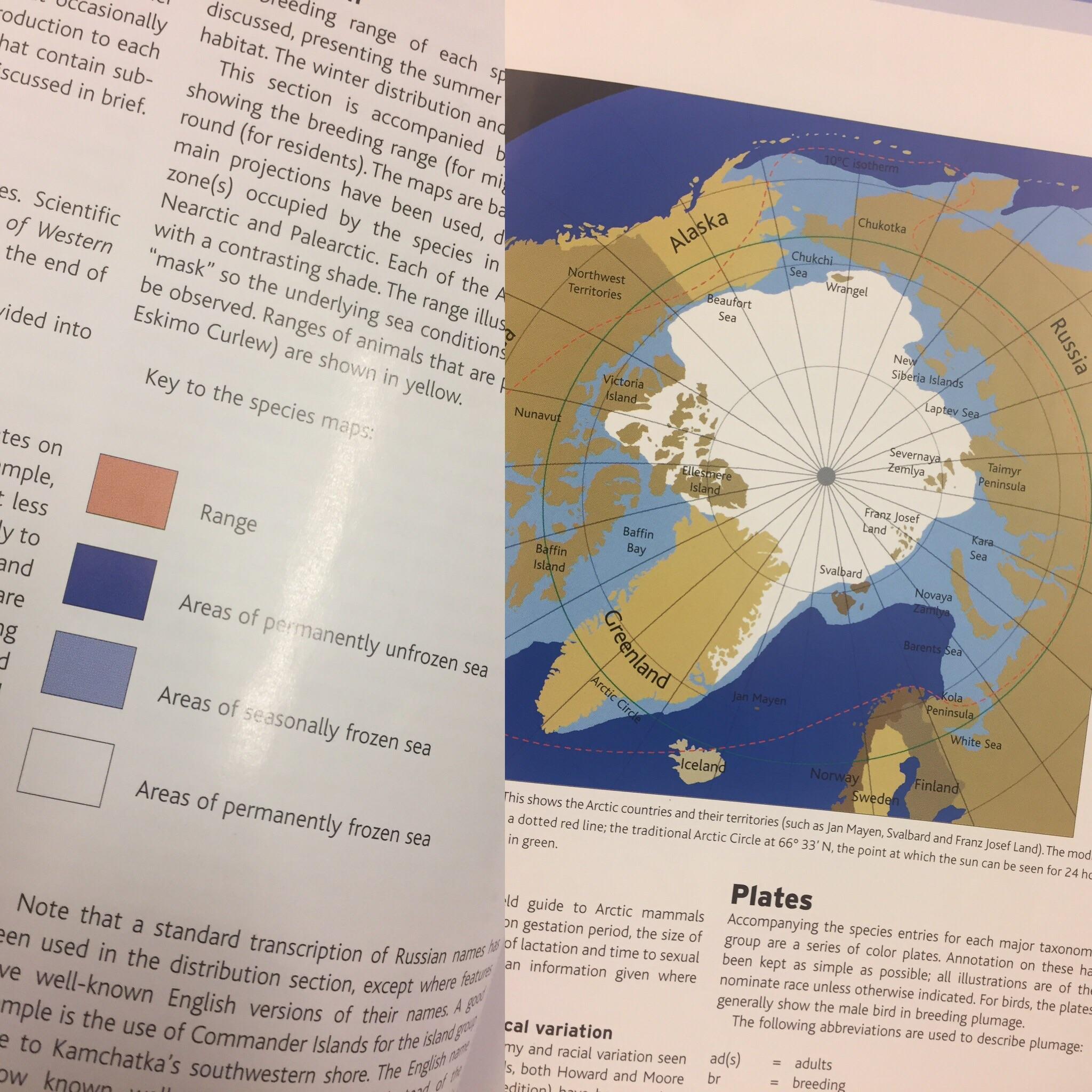 Permanently frozen sea | Scrolller