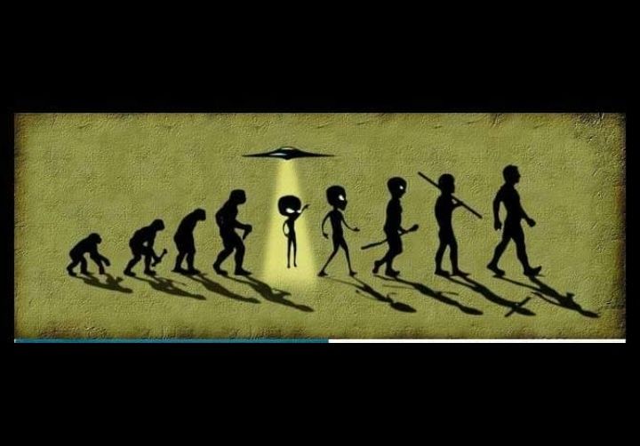 Perspective theory | Scrolller