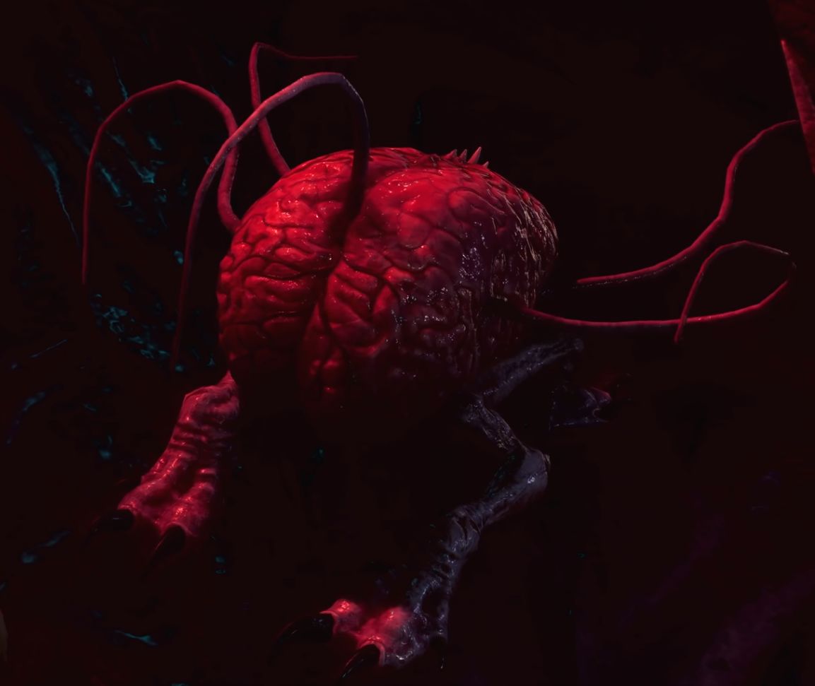 Petition to make this cute pupper the official subreddit mascot | Scrolller