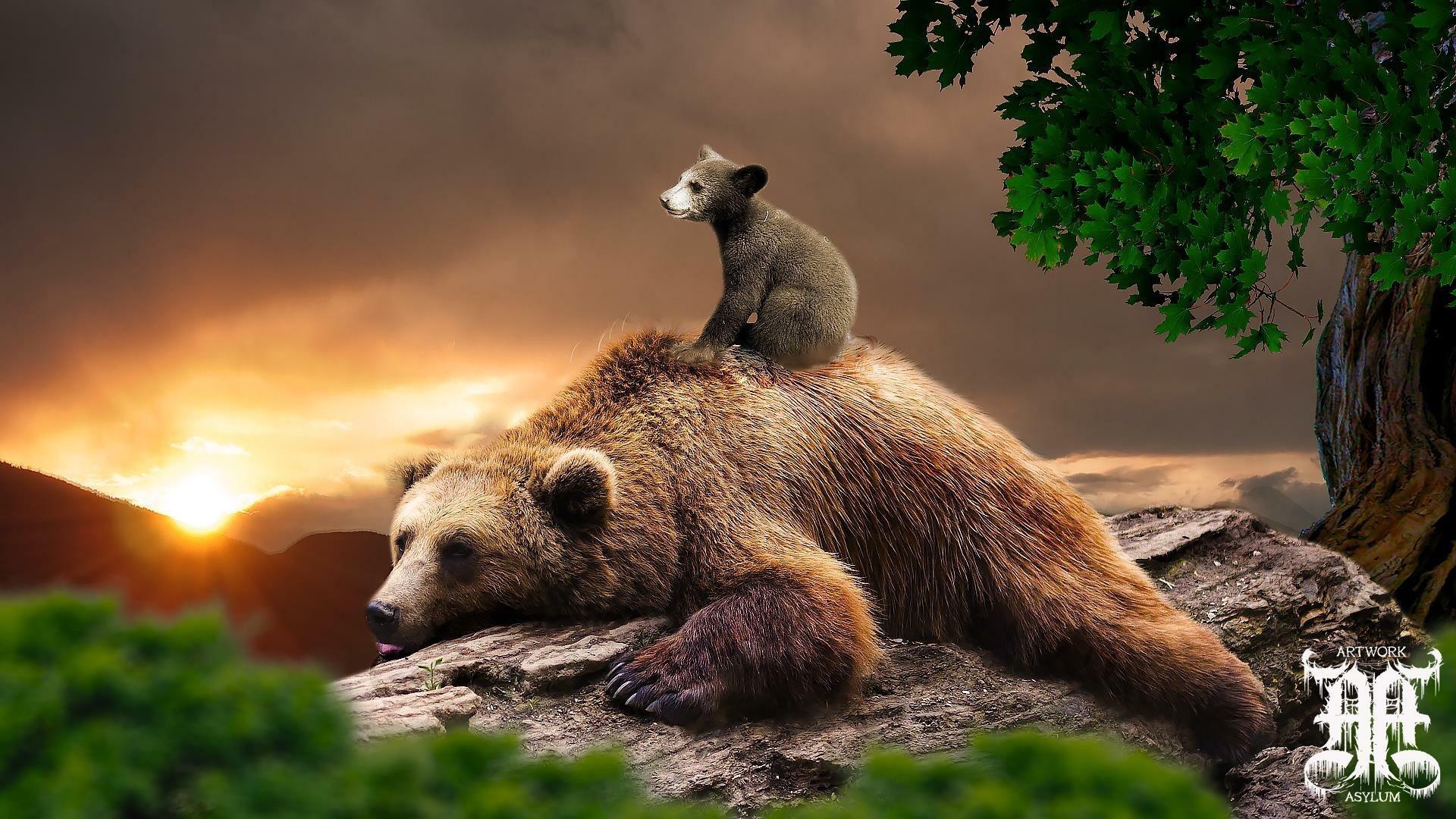 Photo Manipulation [OC] | Scrolller