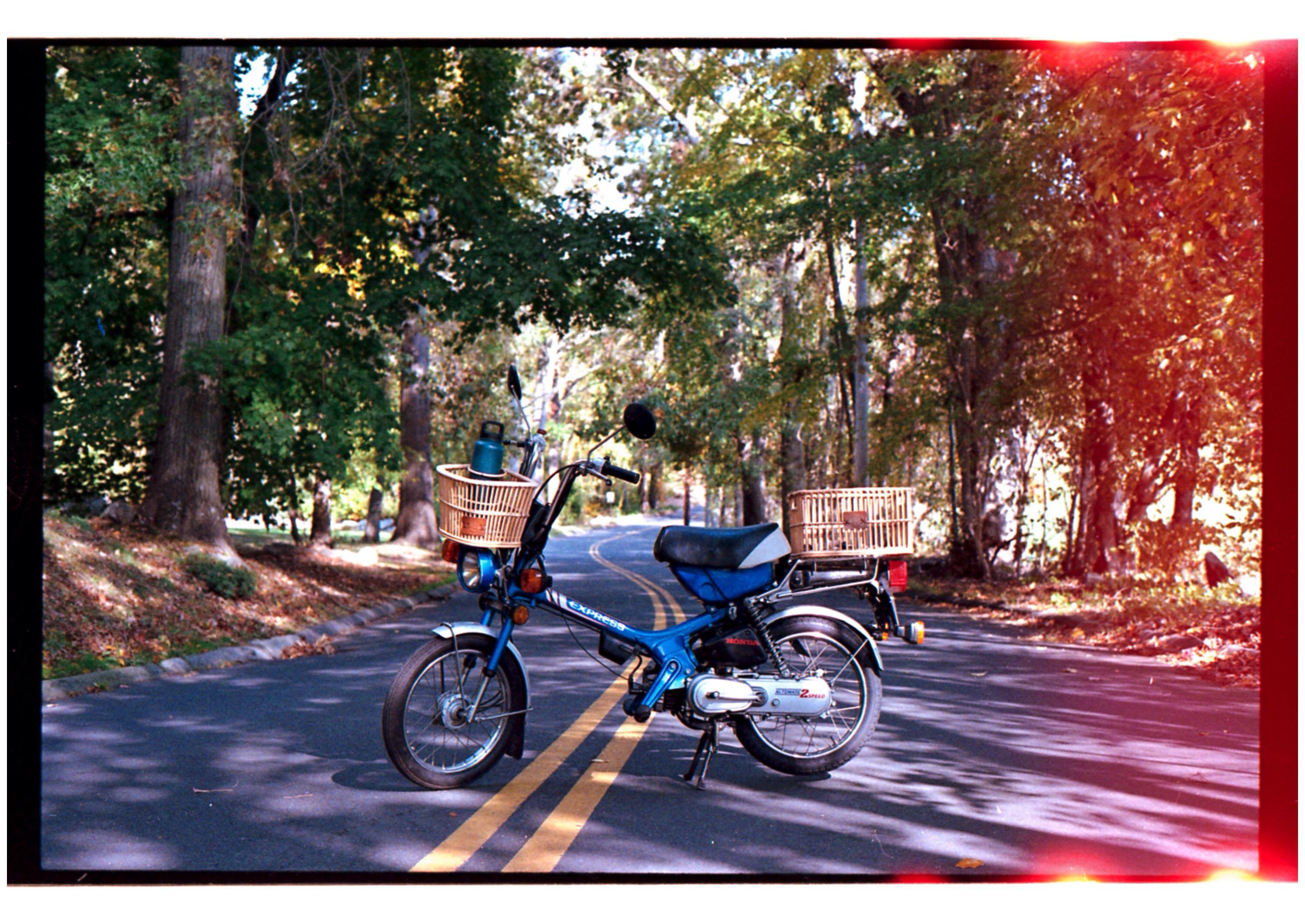 Picking up more chicks than groceries. | Scrolller