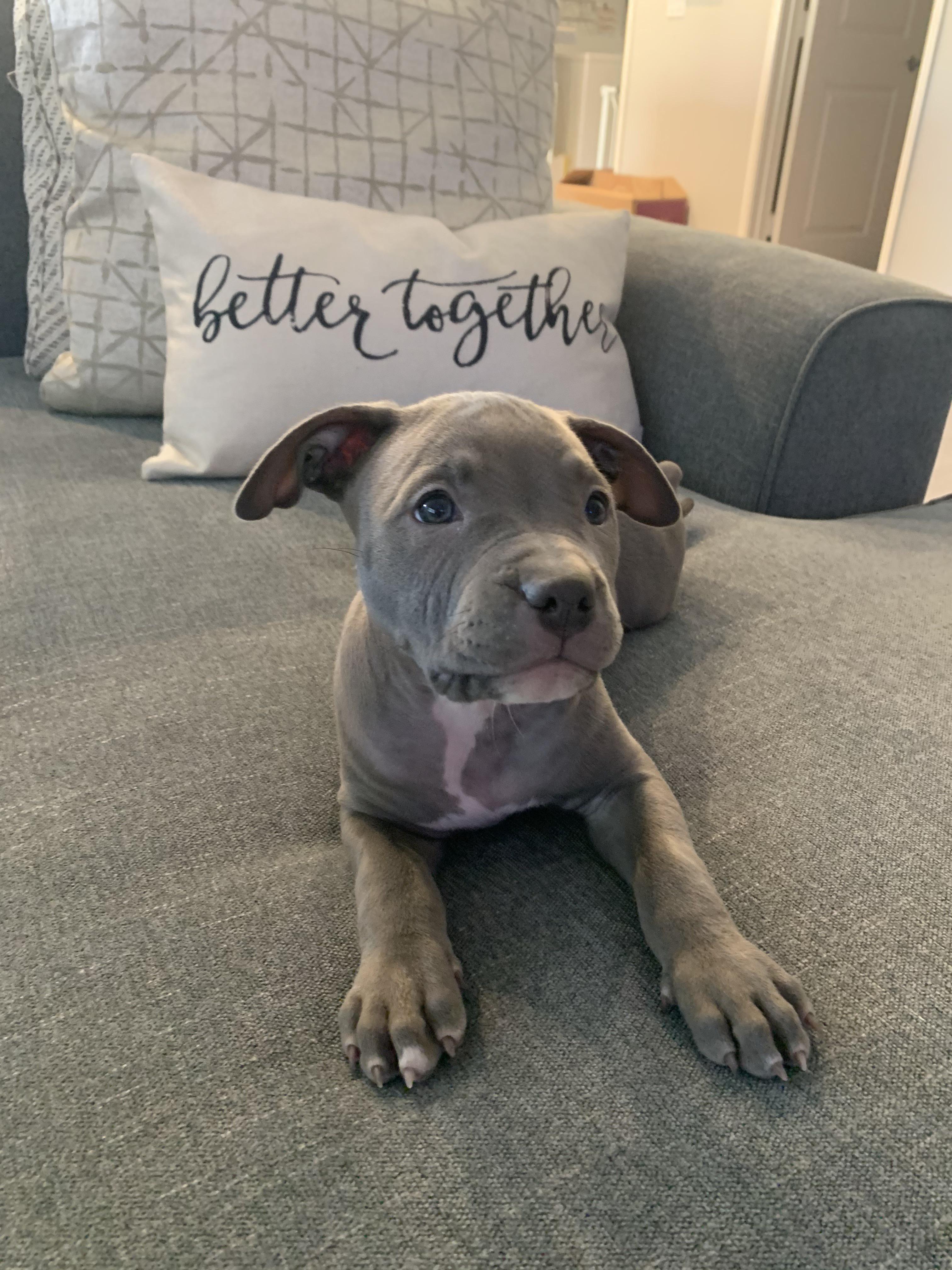 Pillow Talk.! | Scrolller