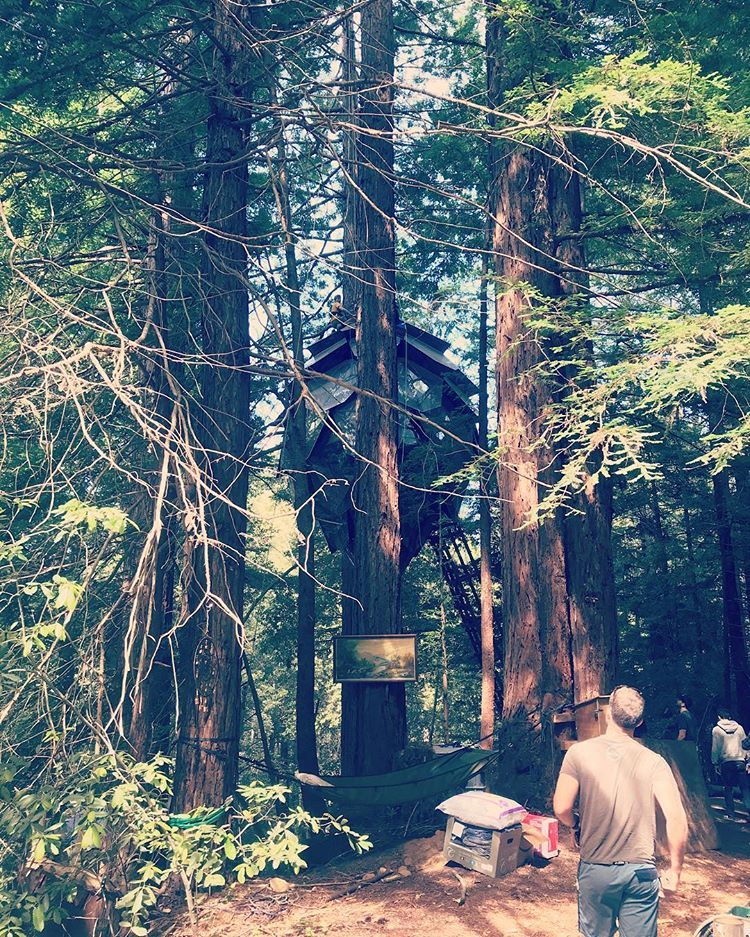 Pinecone Treehouse in Bonny Doon | Scrolller