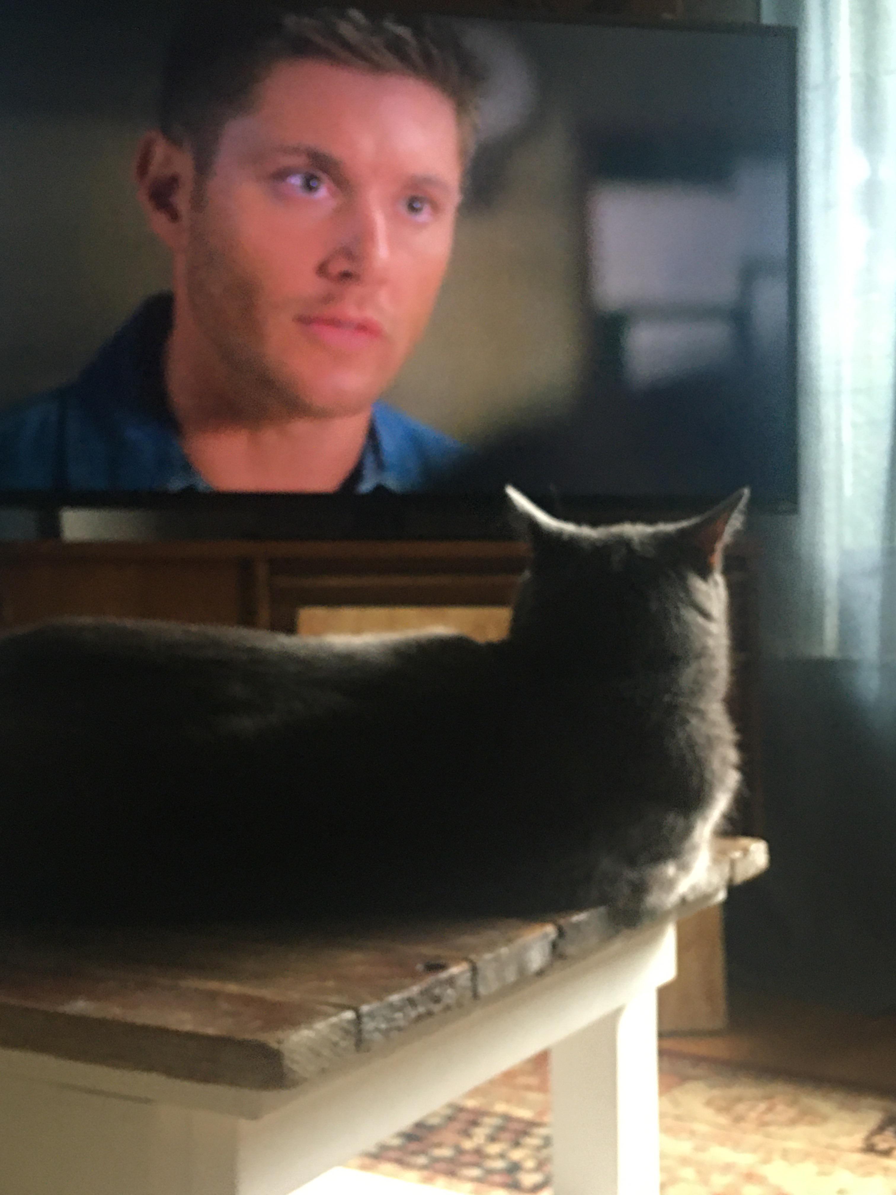 Pip and Dean sharing a moment | Scrolller