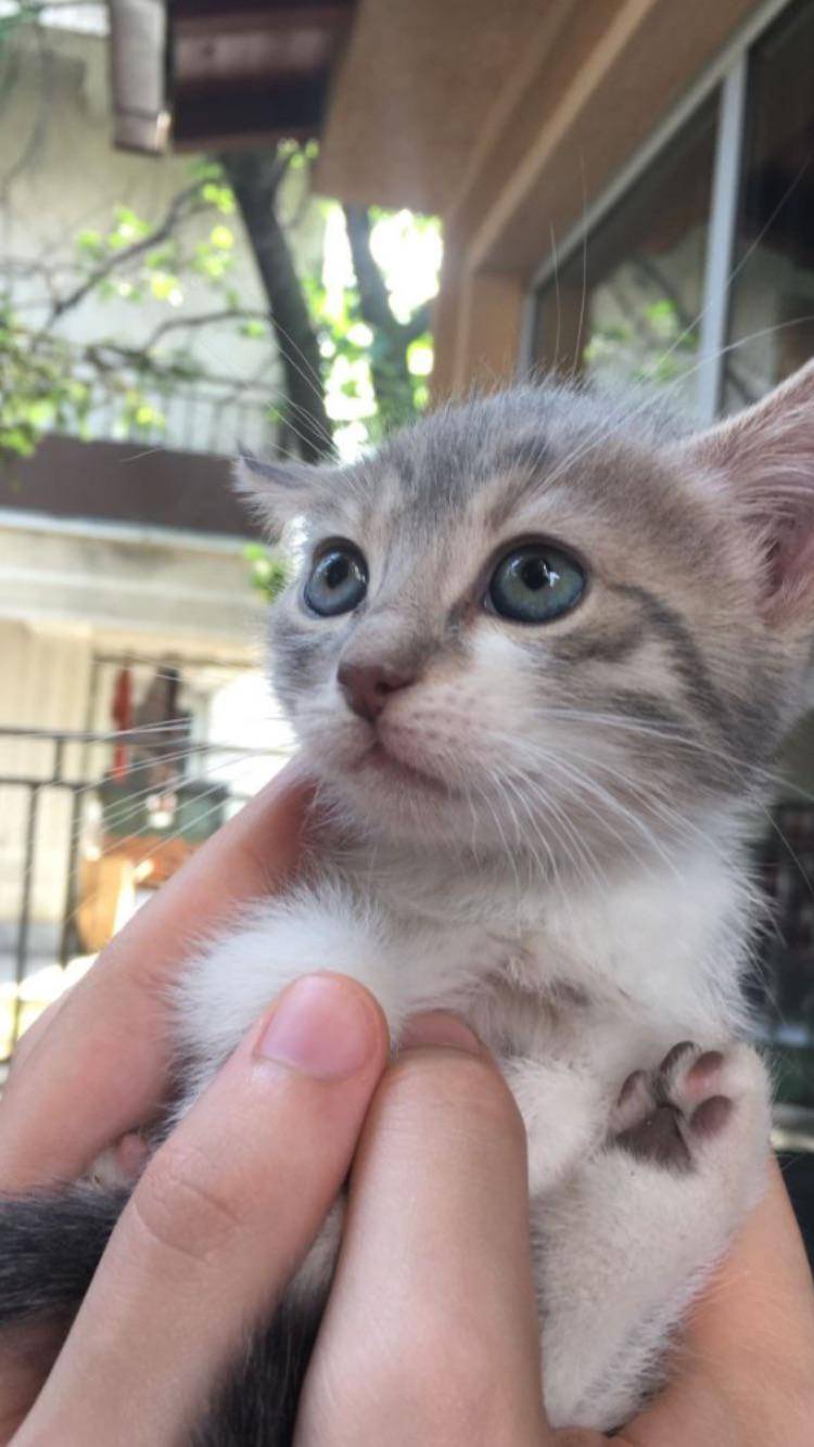 little Pippa and her toe beans | Scrolller