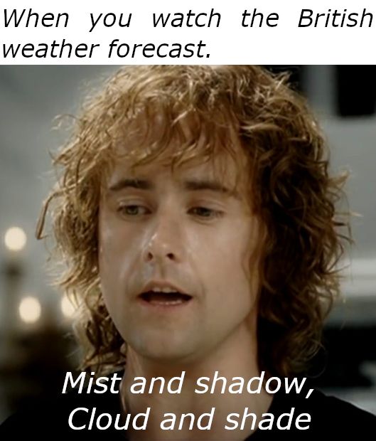 Pippin the meteorologist | Scrolller