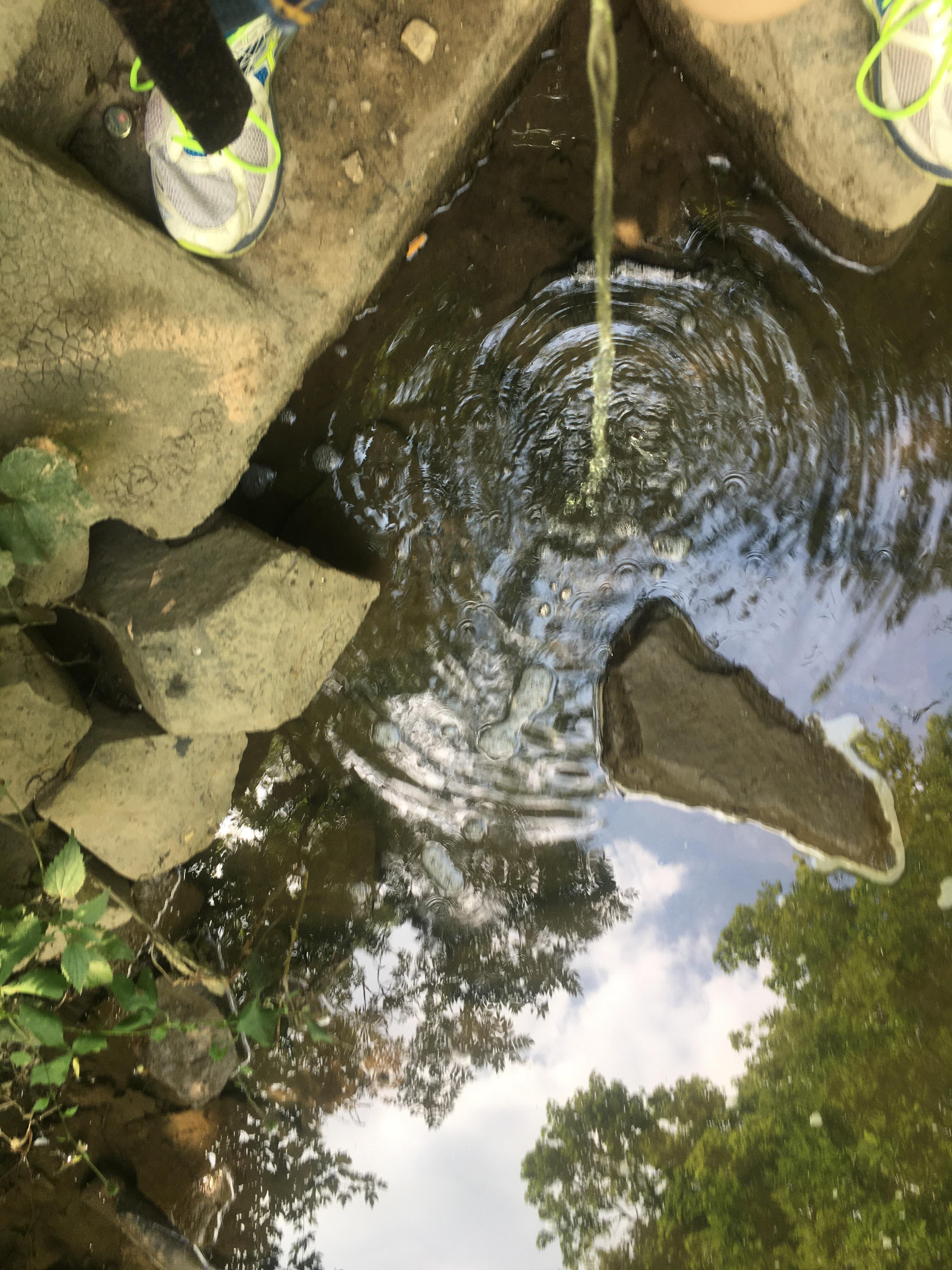 Piss break on a walk | Scrolller