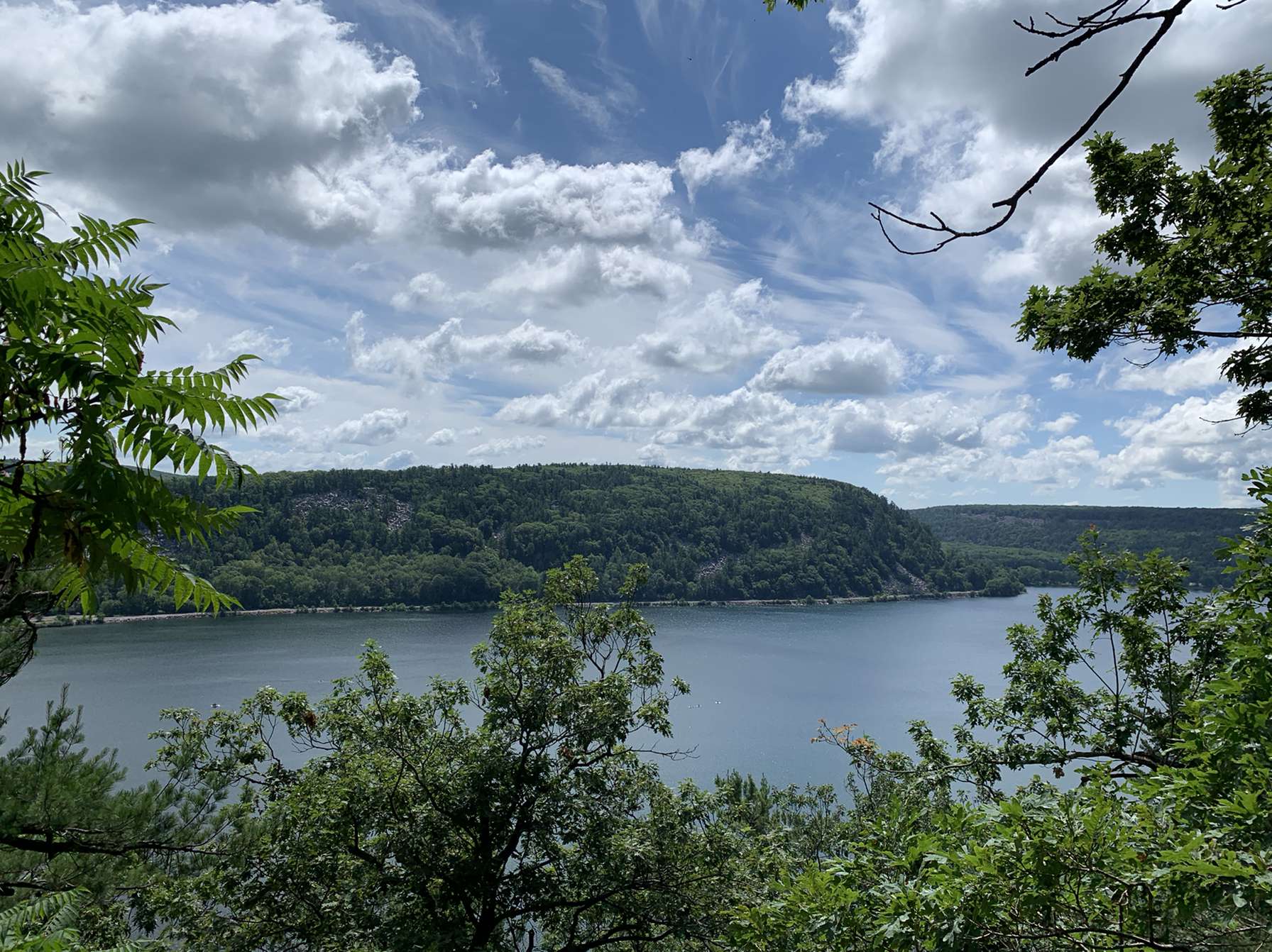 Pixel 1 No edits | Scrolller