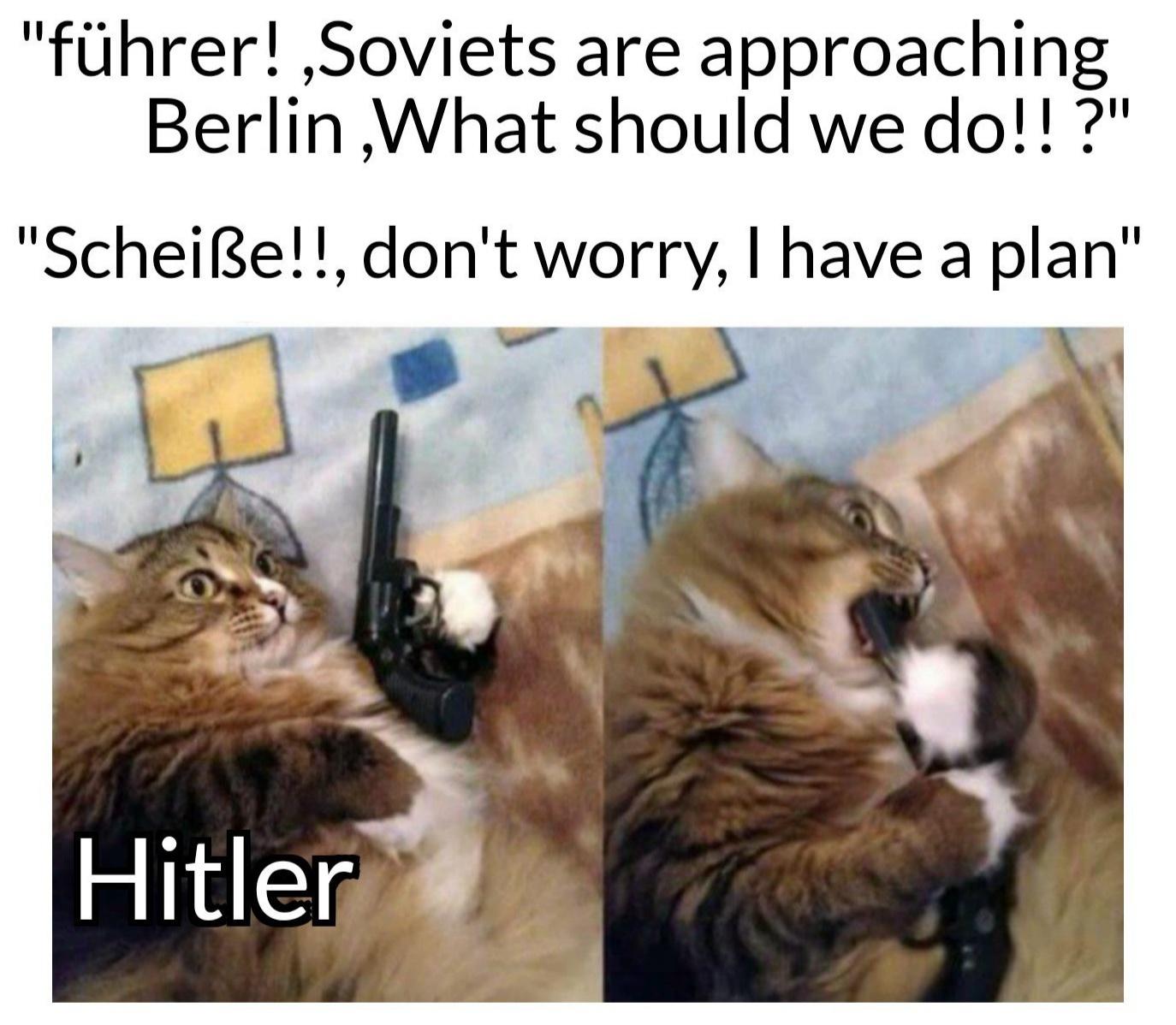 🅱️plan, I have | Scrolller