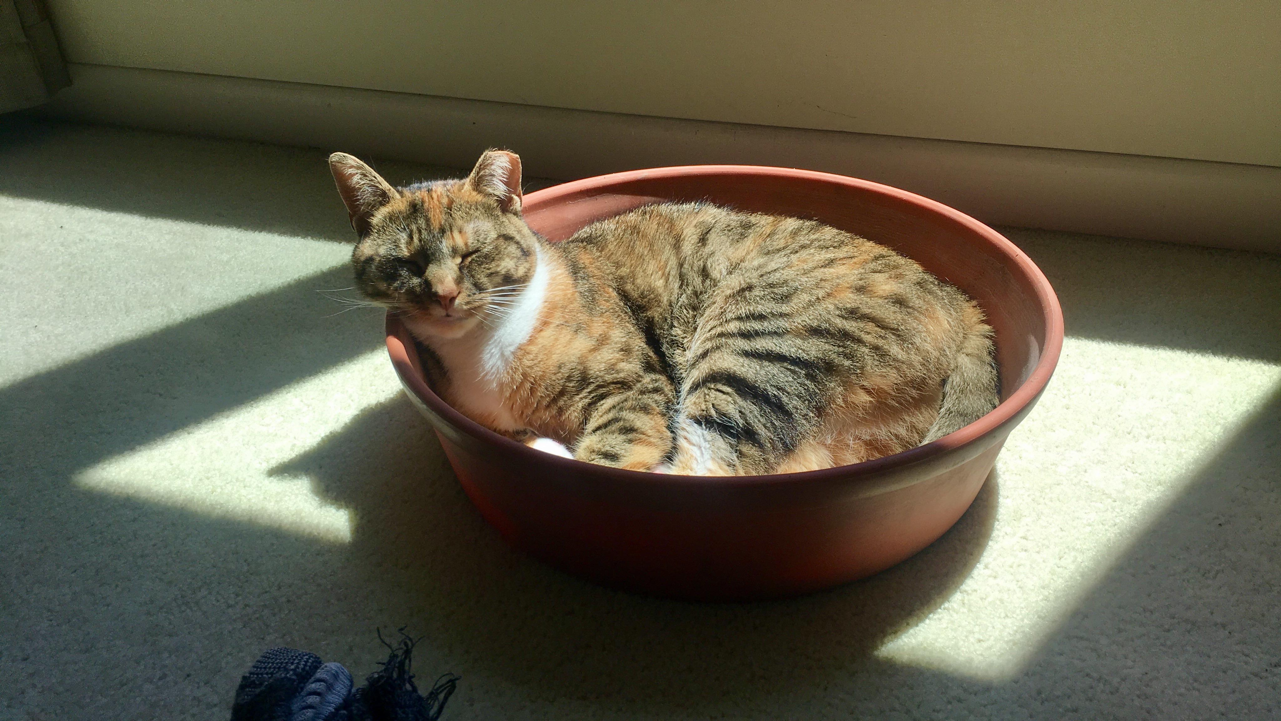 Plant a seed, watch it grow! | Scrolller