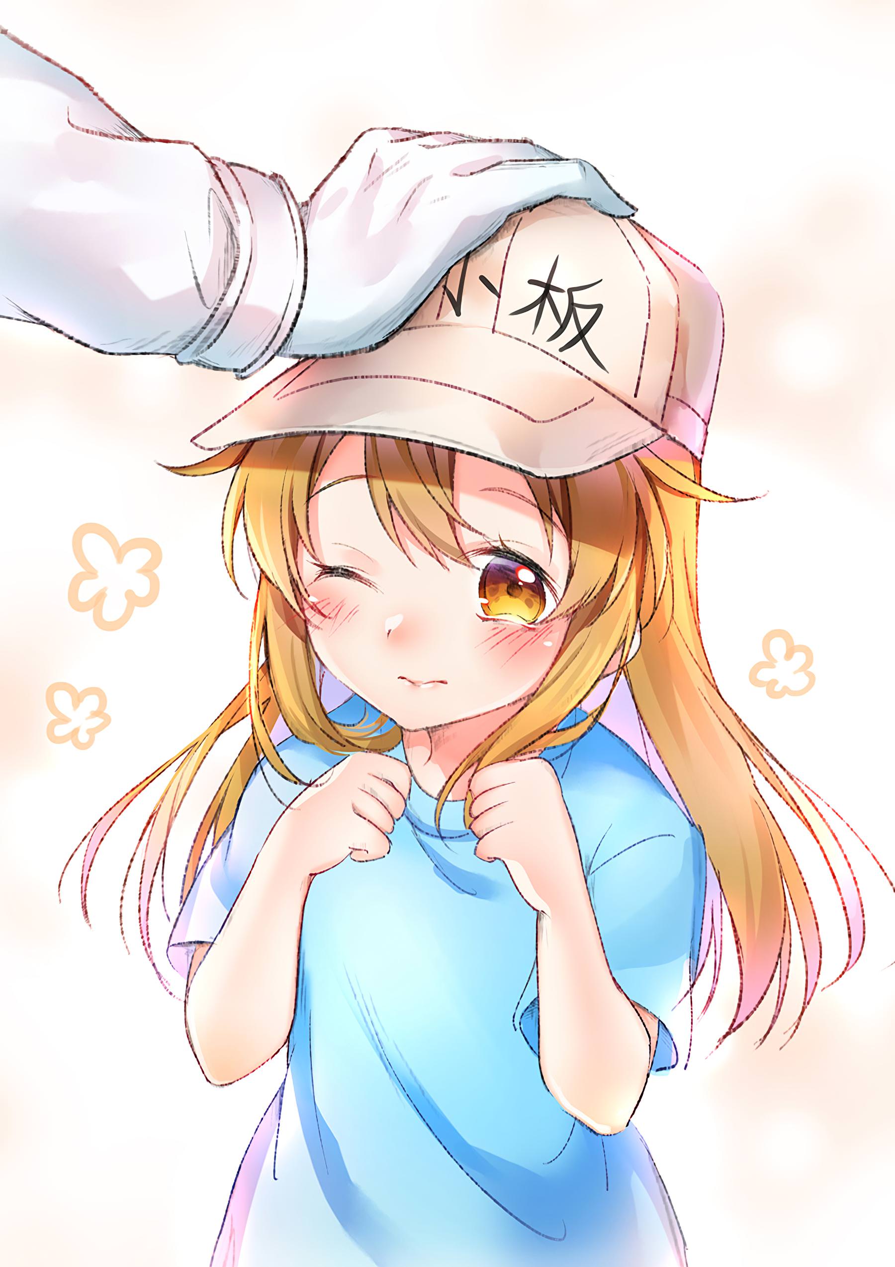 Platelet-Chan [Hataraku Saibou] | Scrolller