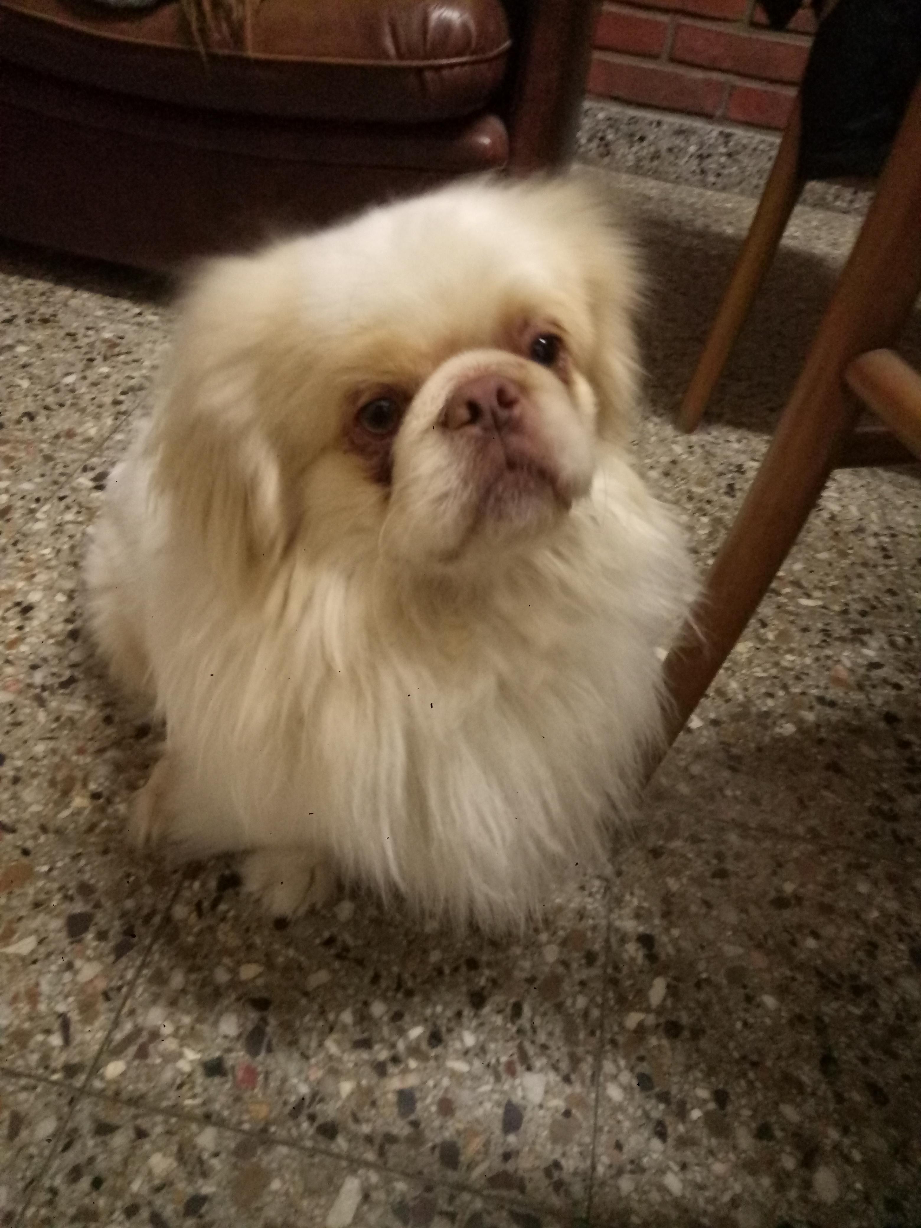 Play with me plis | Scrolller