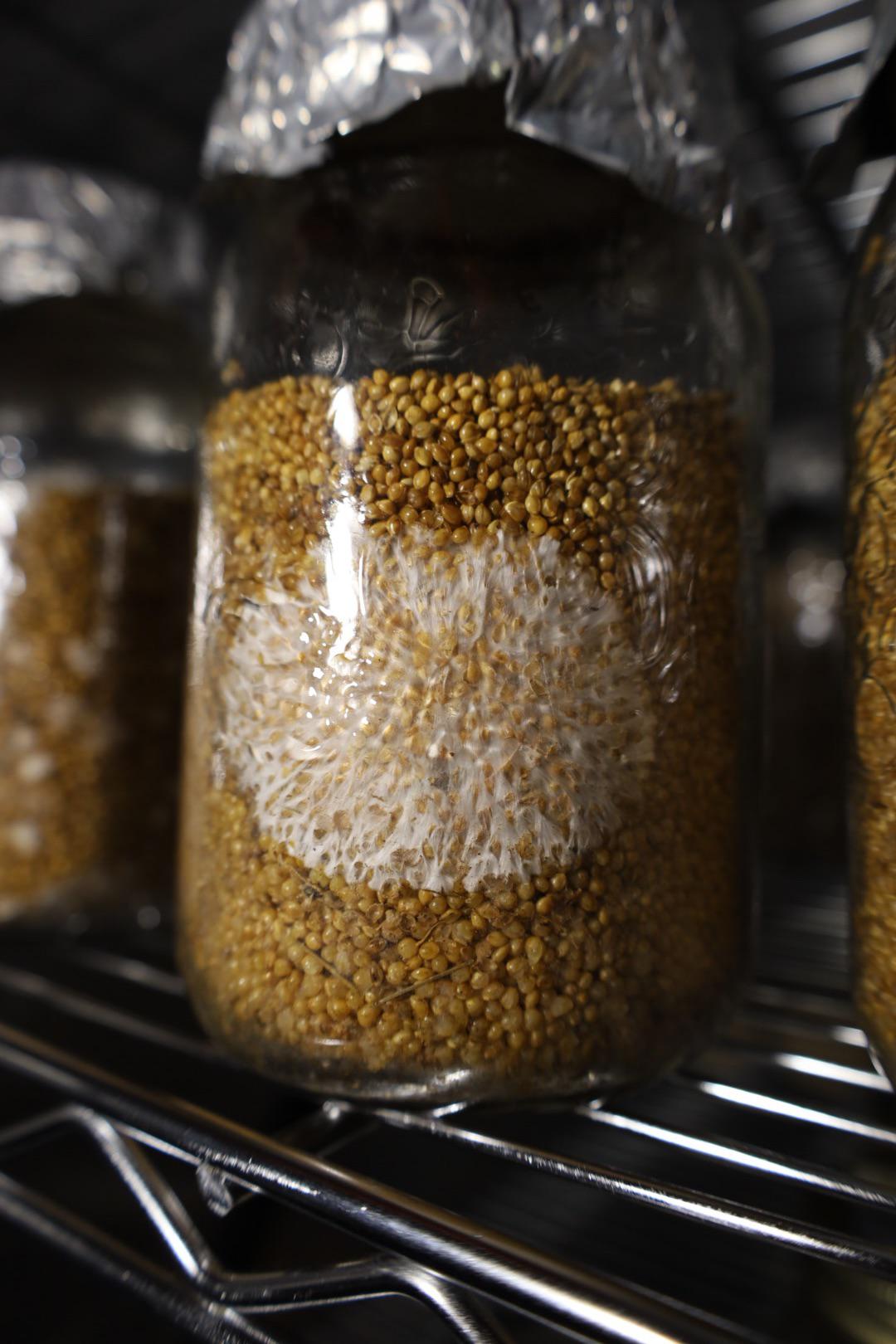 Playing around with my new camera. | Scrolller