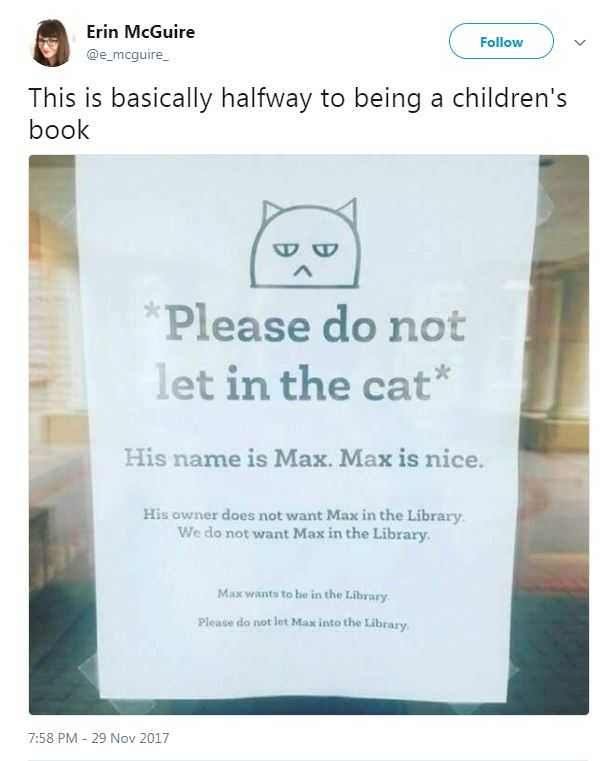 Please do not the cat | Scrolller