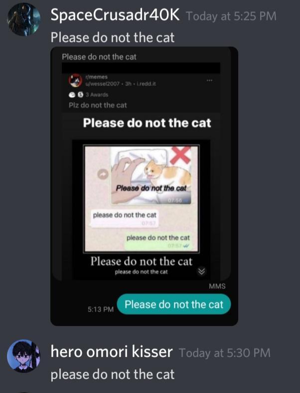 Please do not the cat. (Repost) | Scrolller