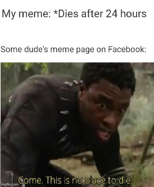 Please dont do that | Scrolller