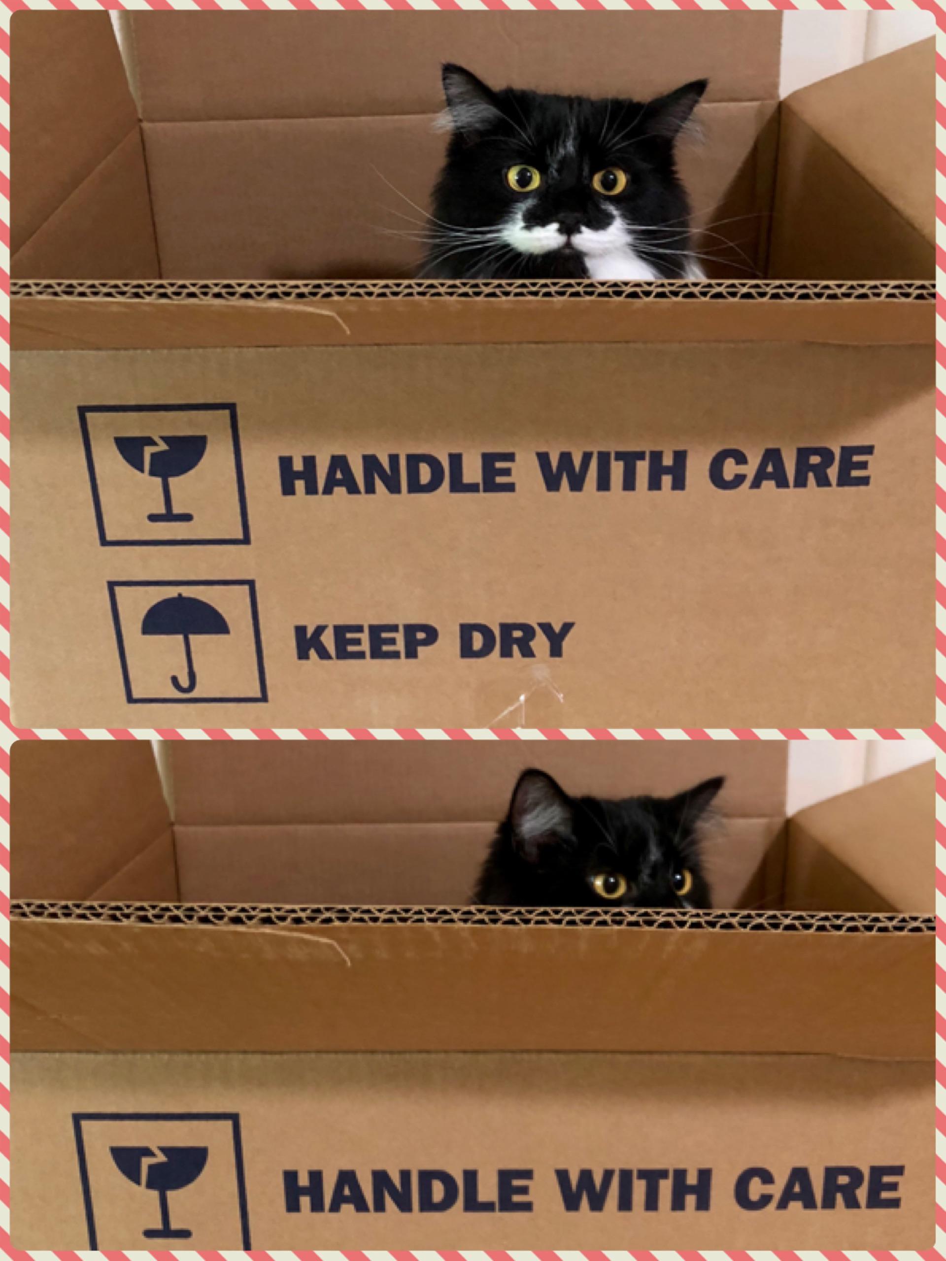 Please handle the tuxie with care and keep dry. | Scrolller