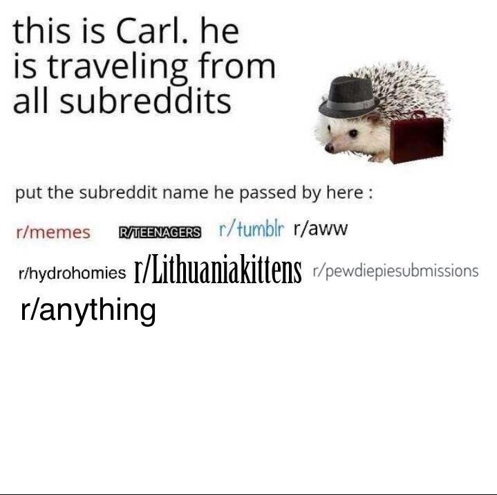 Please help Carl see all the subreddits | Scrolller