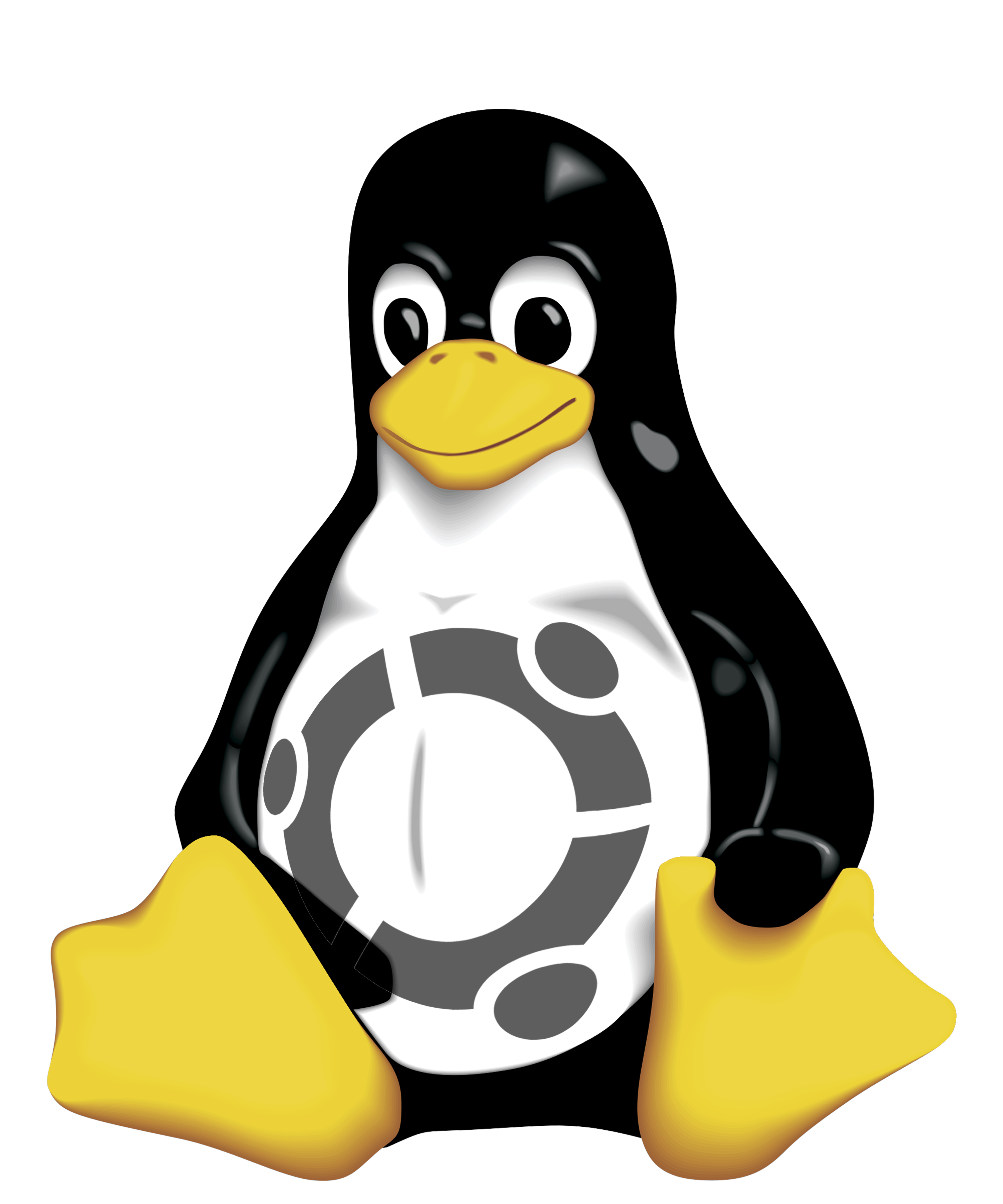 PLEASE HELP ME!!! Gift idea reassurance (info in comments) | Scrolller