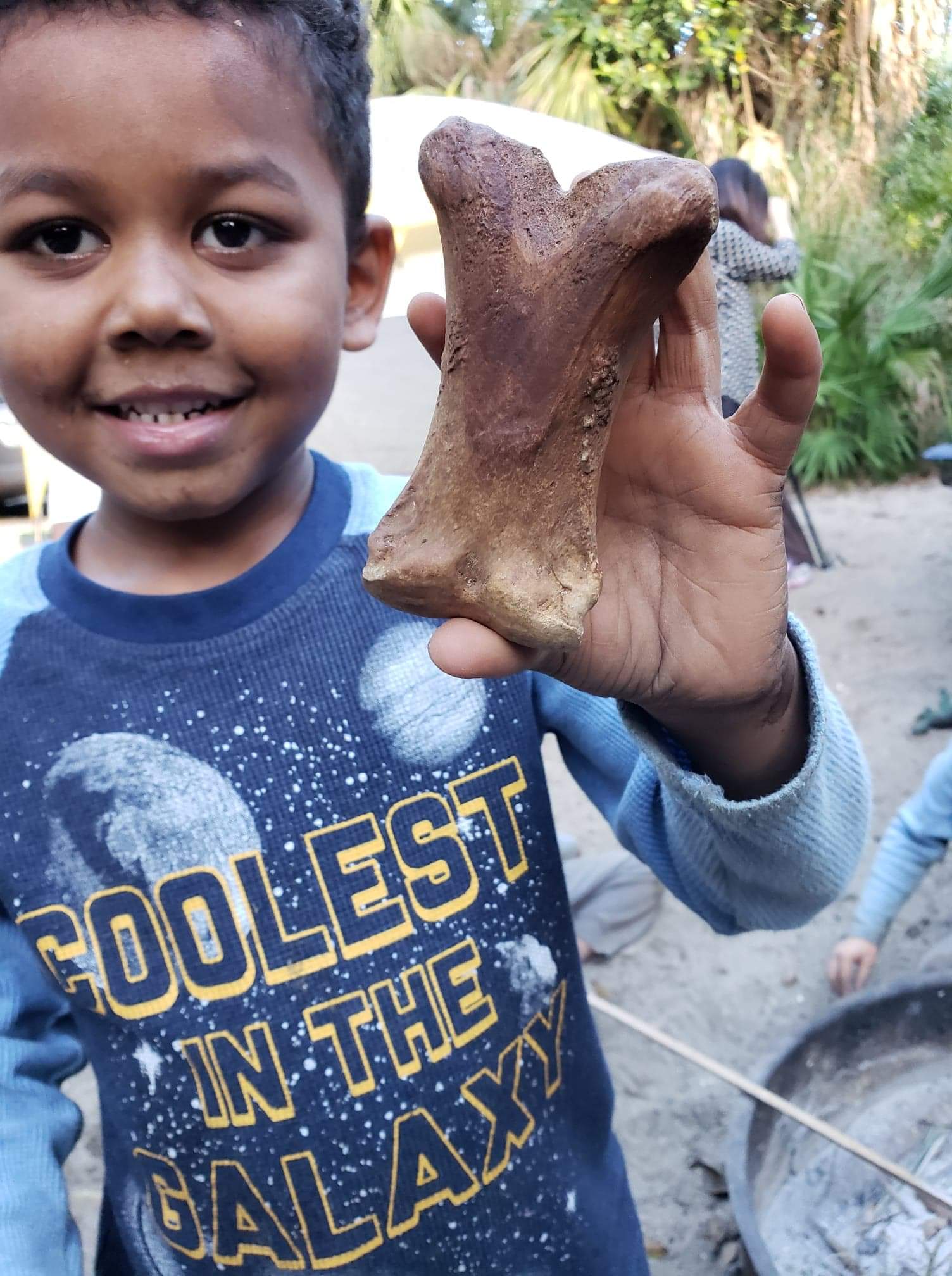 Please help my budding paleontologist identify this 'dinosaur' bone. | Scrolller
