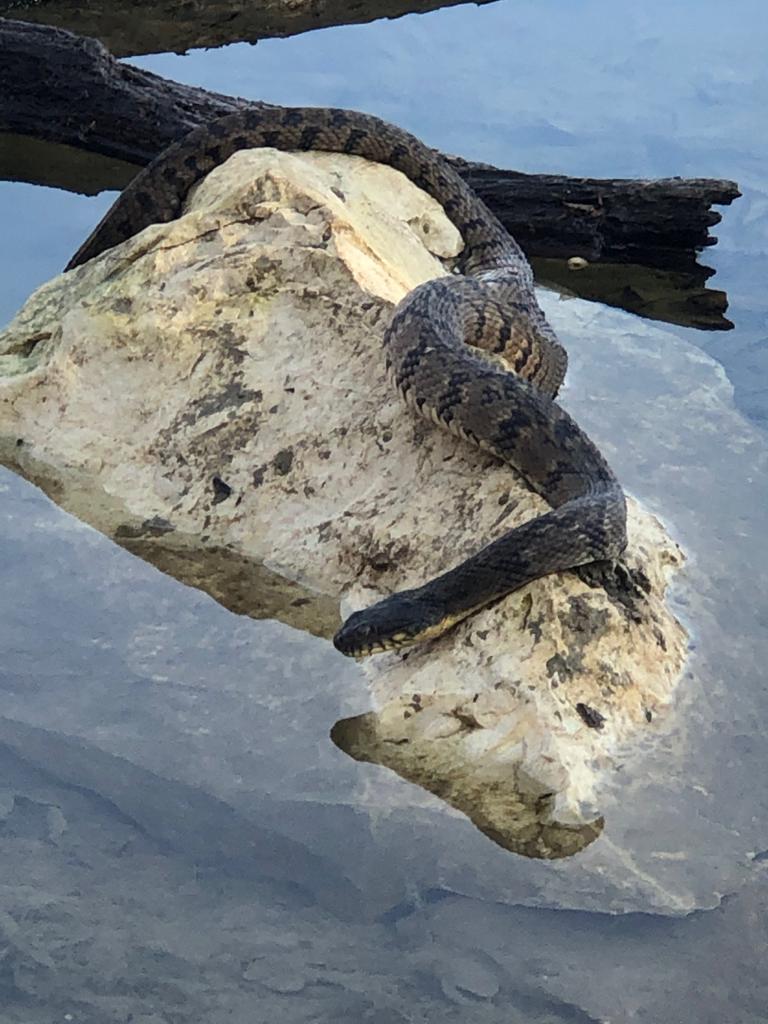 Please identify. Dallas Texas. | Scrolller