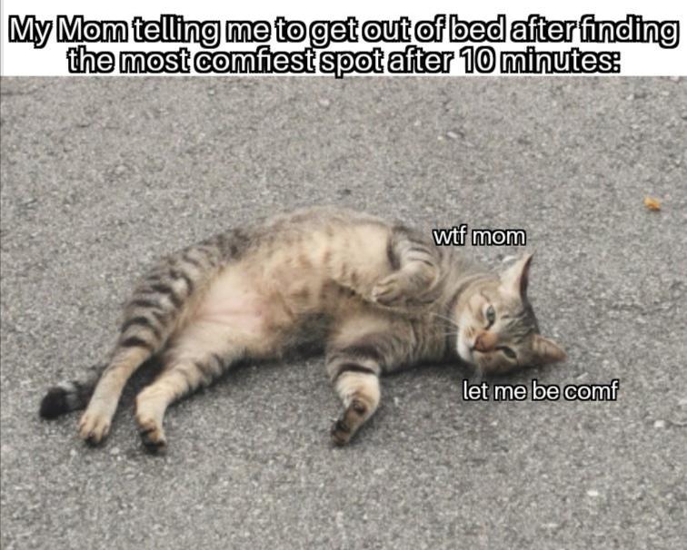 Please just give me a hour... | Scrolller