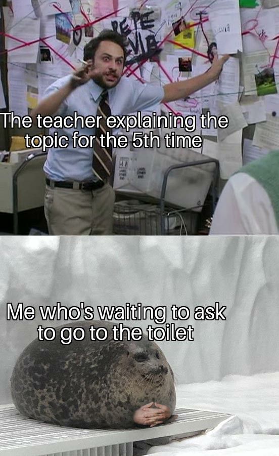 Please let me leave | Scrolller