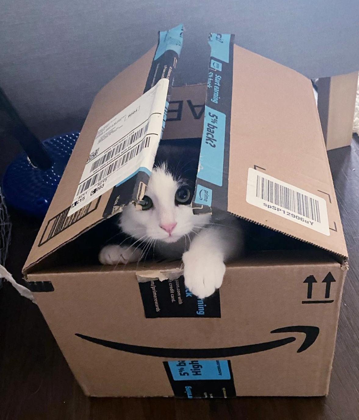 Please let me out | Scrolller