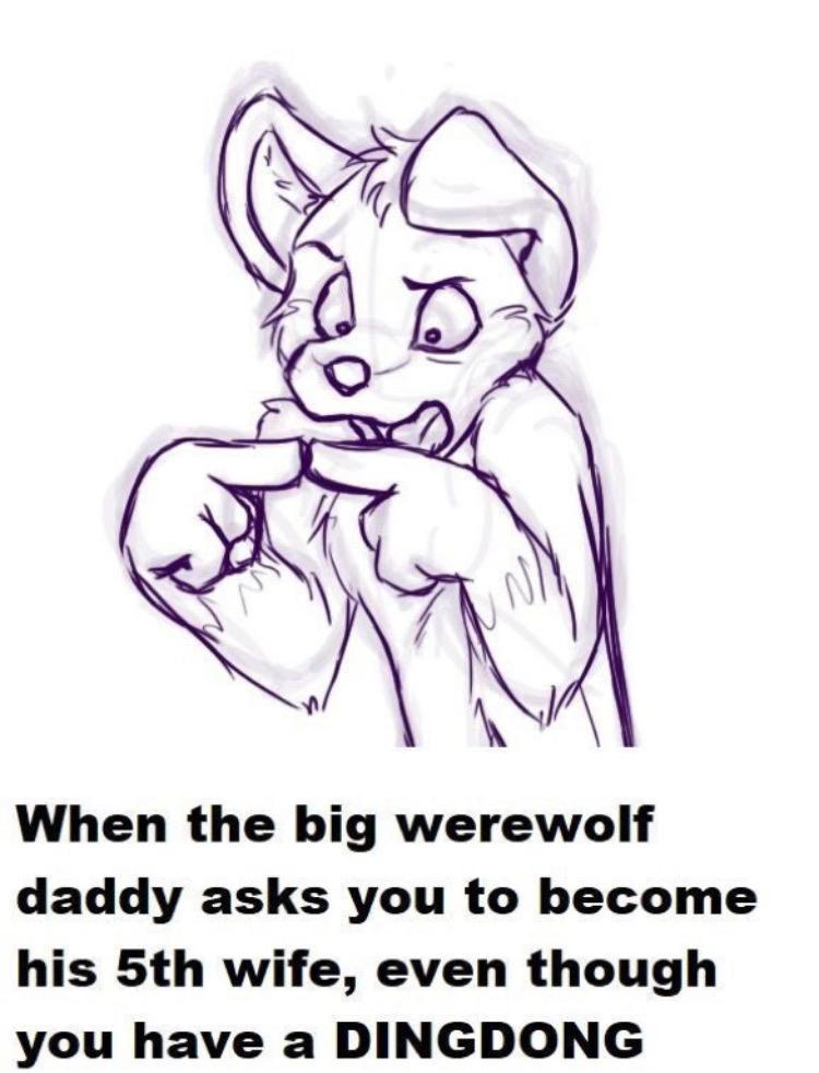 Please..... stop | Scrolller