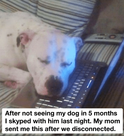 please this is making me cry | Scrolller