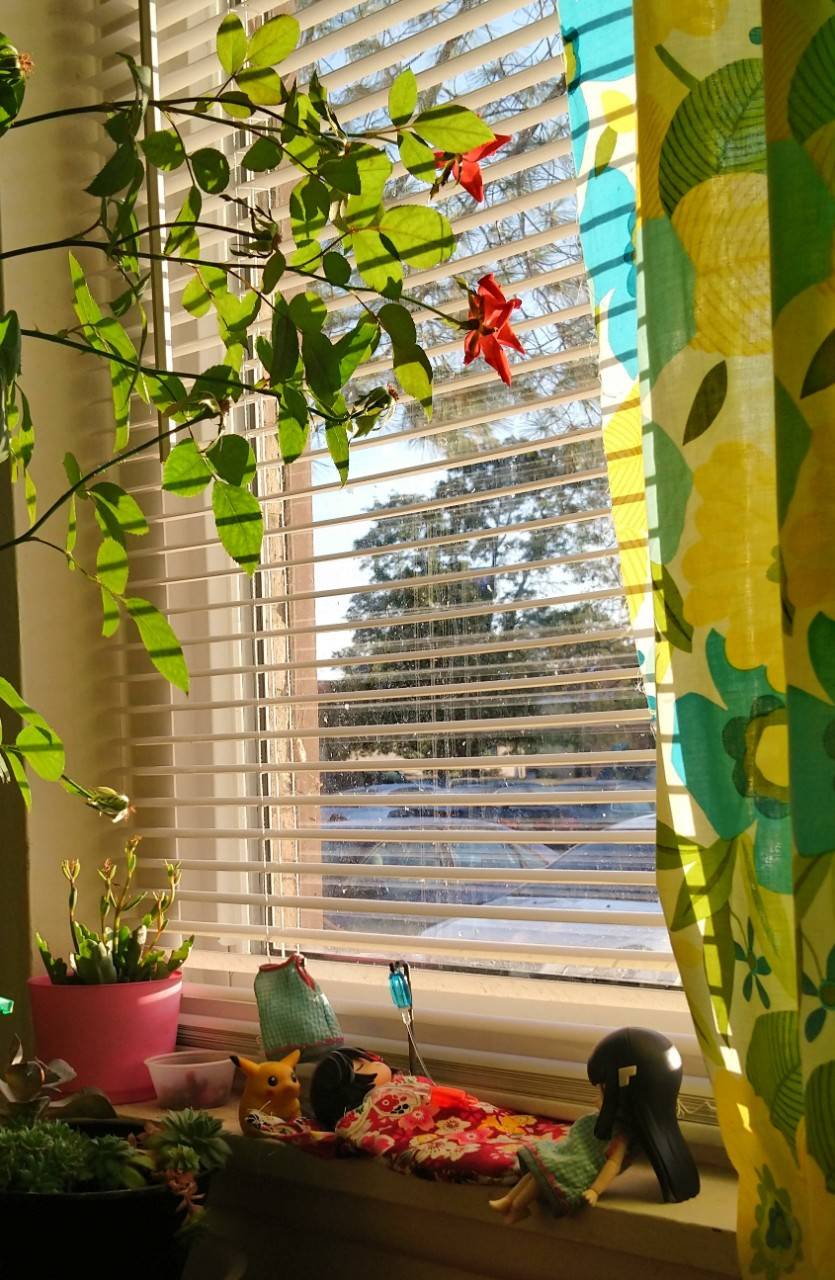 "Please wake up,.....Imouto" | Scrolller