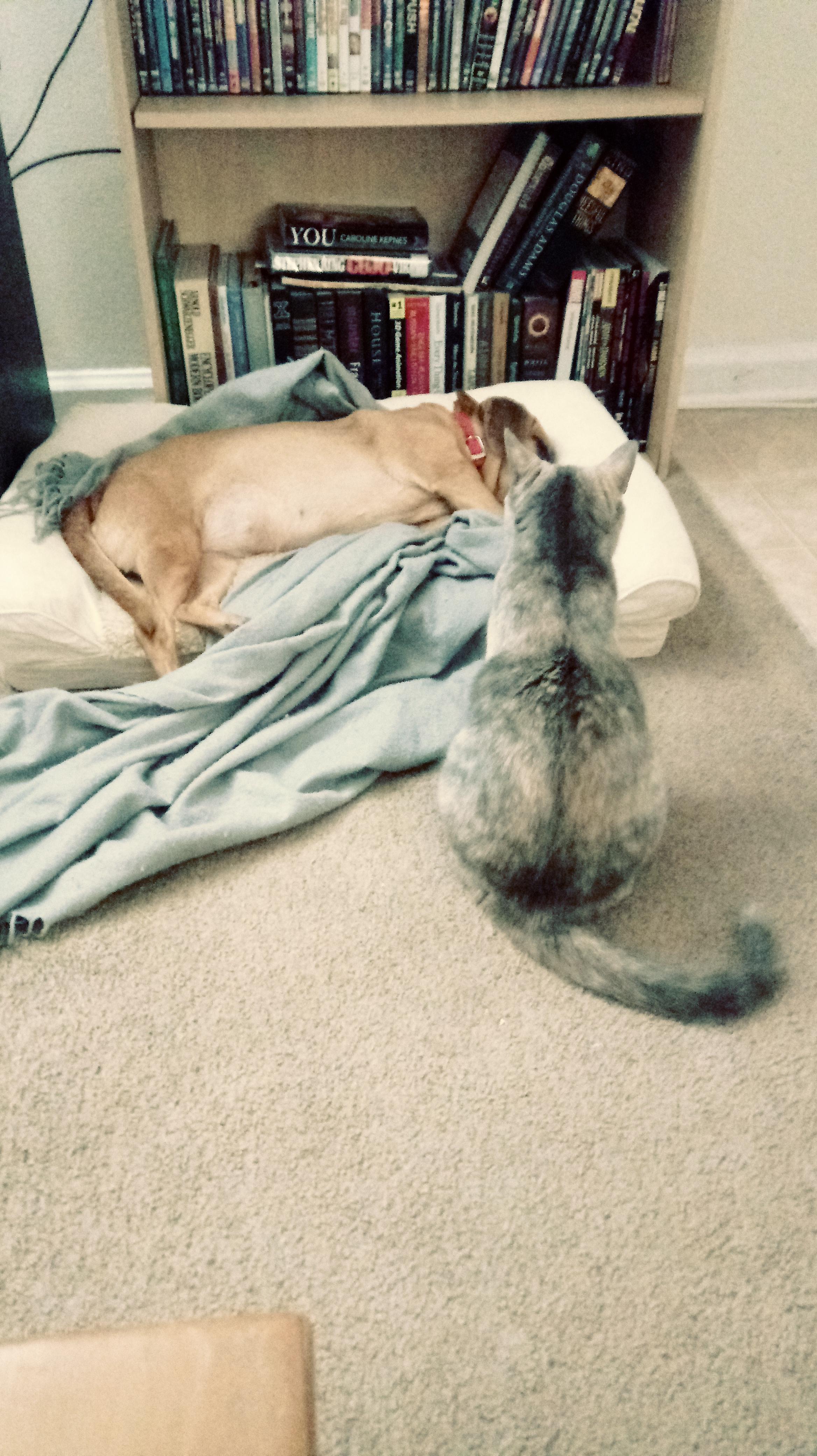 Plotting her next move... | Scrolller