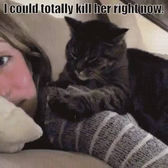 Plotting Intensifies | Scrolller