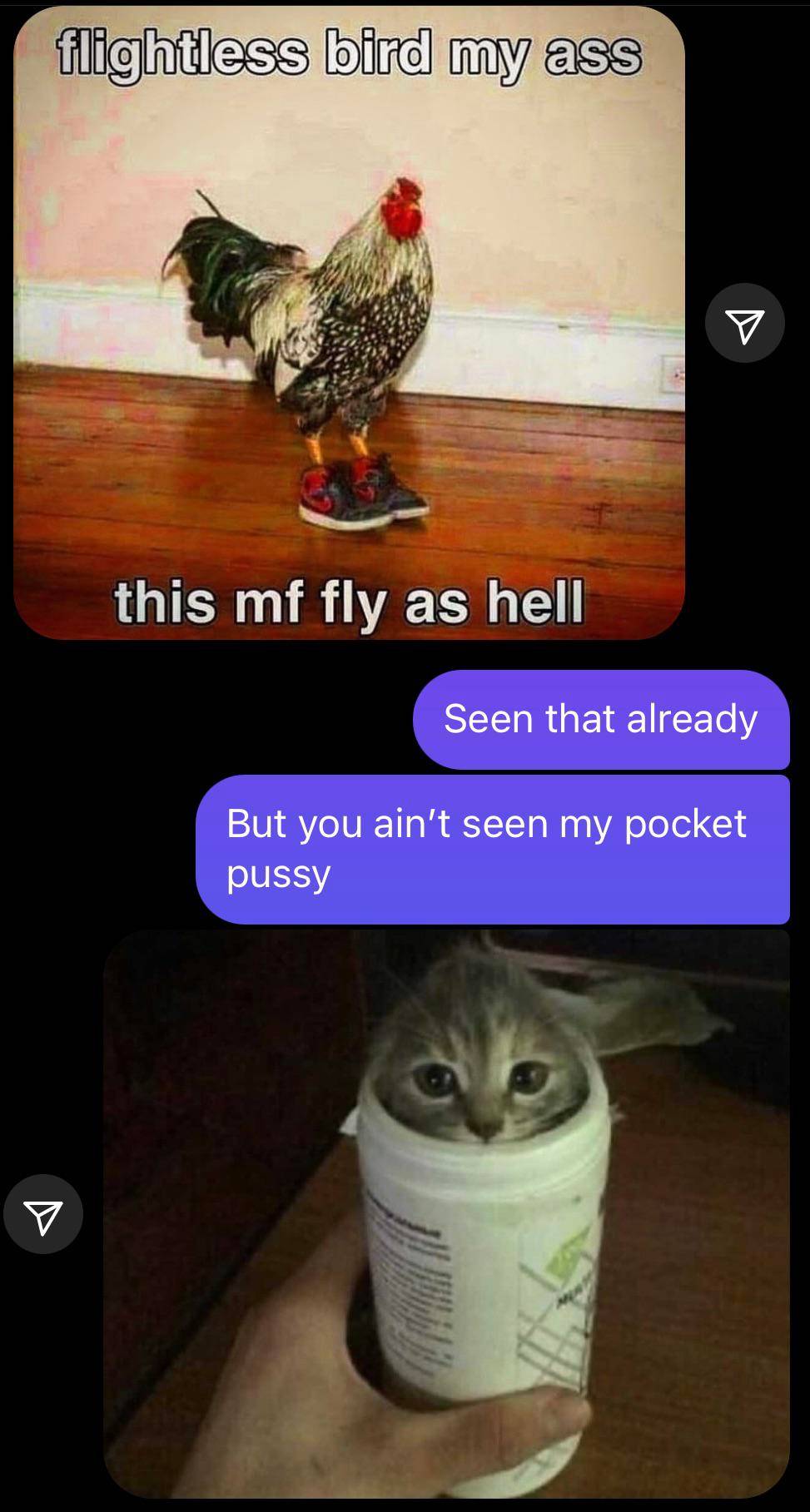 Pocket “pussy” | Scrolller