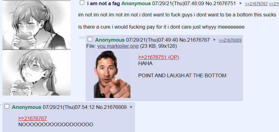 /pol/anon gets the gayvirus | Scrolller