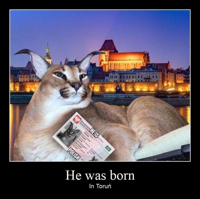 Polish floppa part 2 | Scrolller