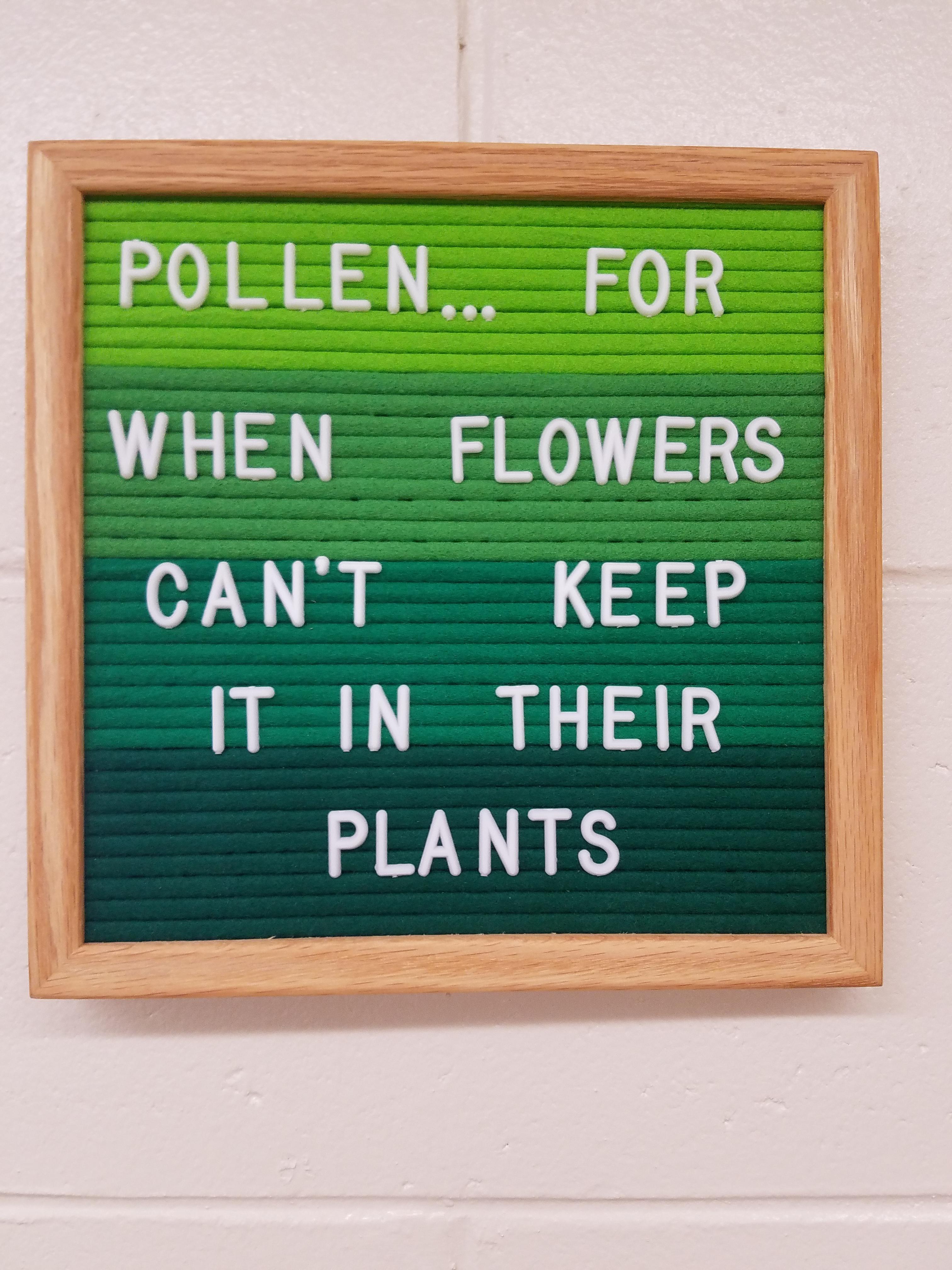 Pollen... | Scrolller