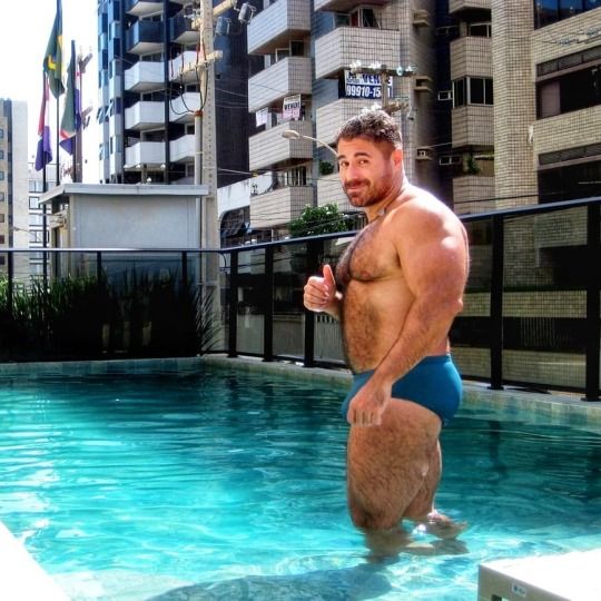 Pool bear | Scrolller