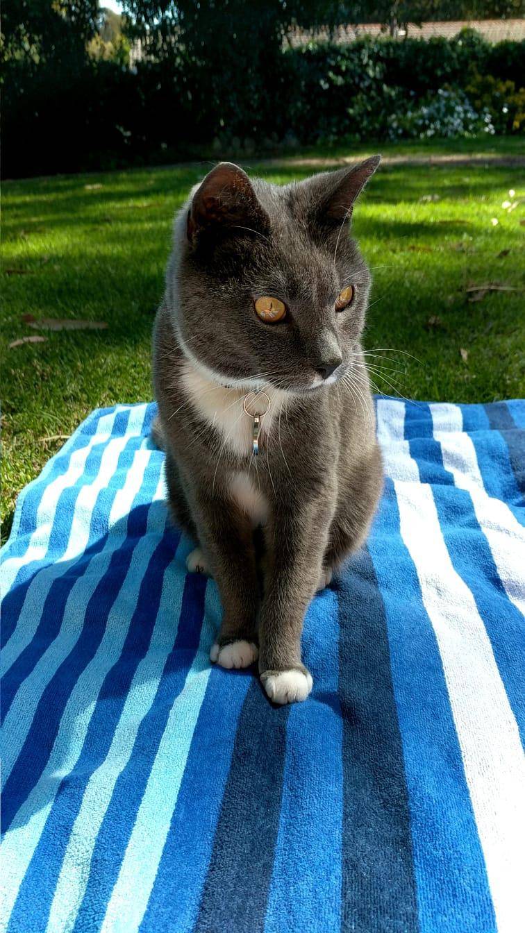 Pool Ready | Scrolller